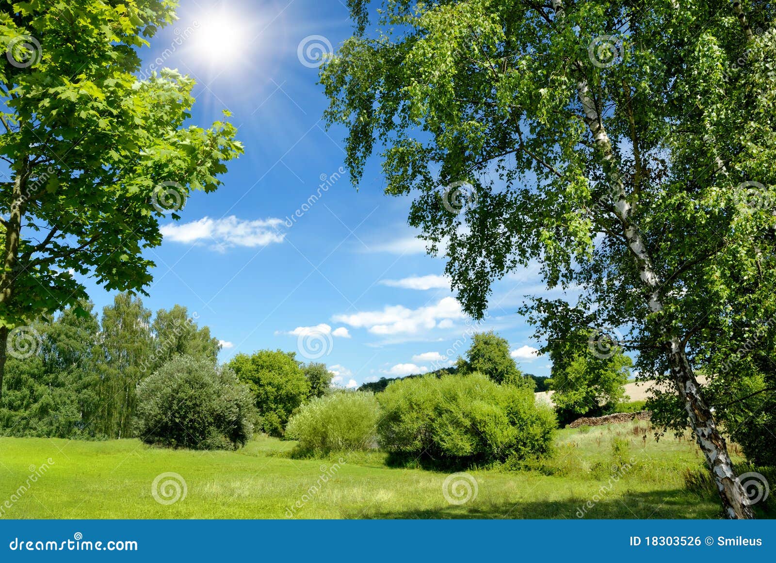 Beautiful Sunny Summer Landscape Stock Photo - Image of greenery, blue ...