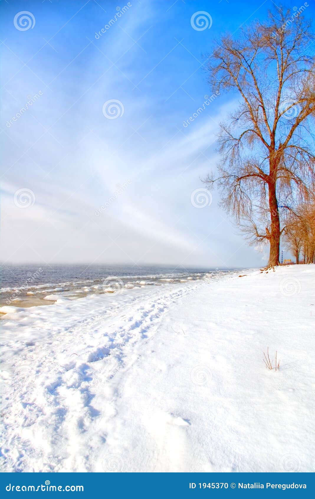 Beautiful sunny winter day stock photo. Image of frost - 1945370