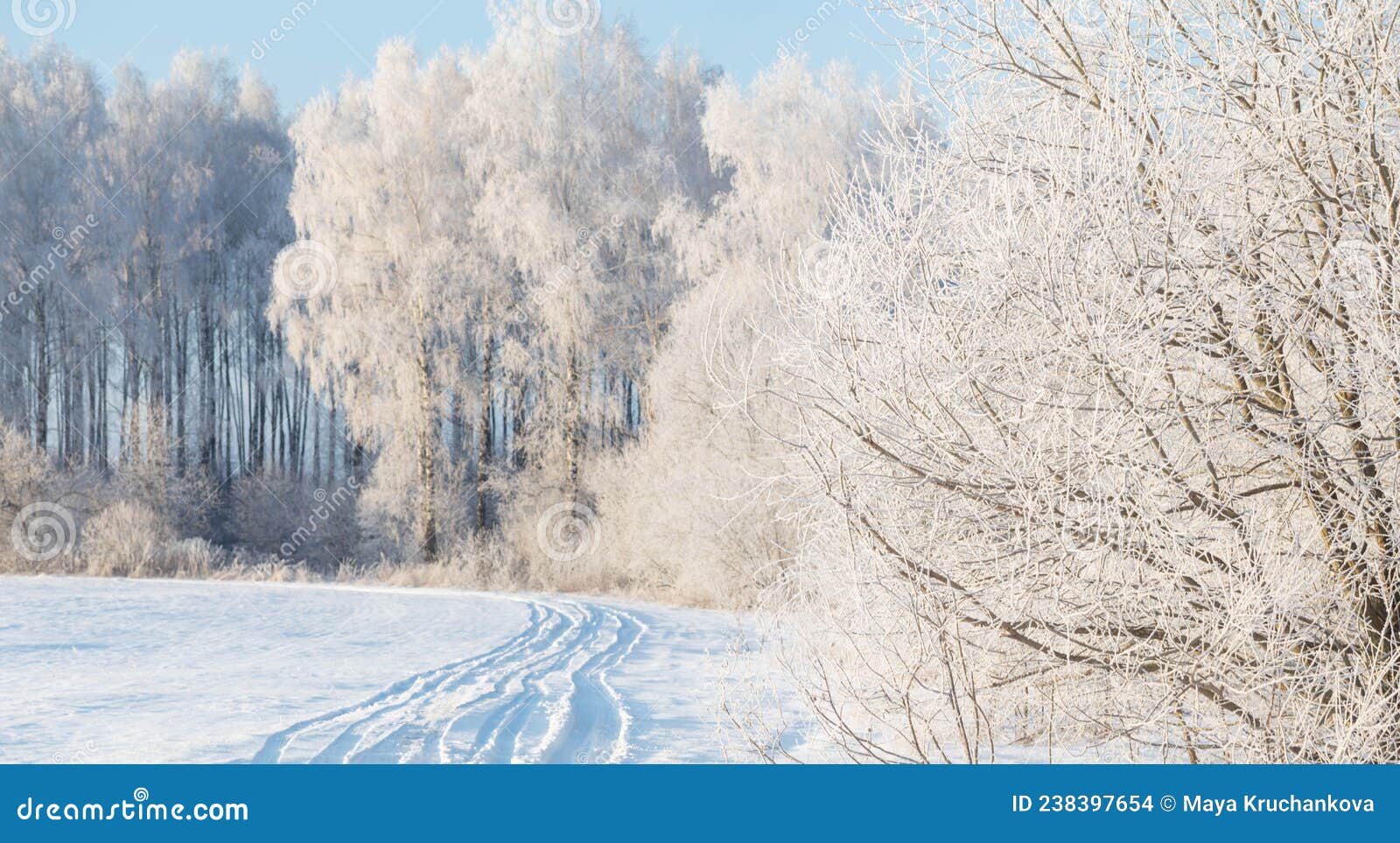 Beautiful Sunny Winter Landscape with Hoarfrost Stock Photo - Image of ...