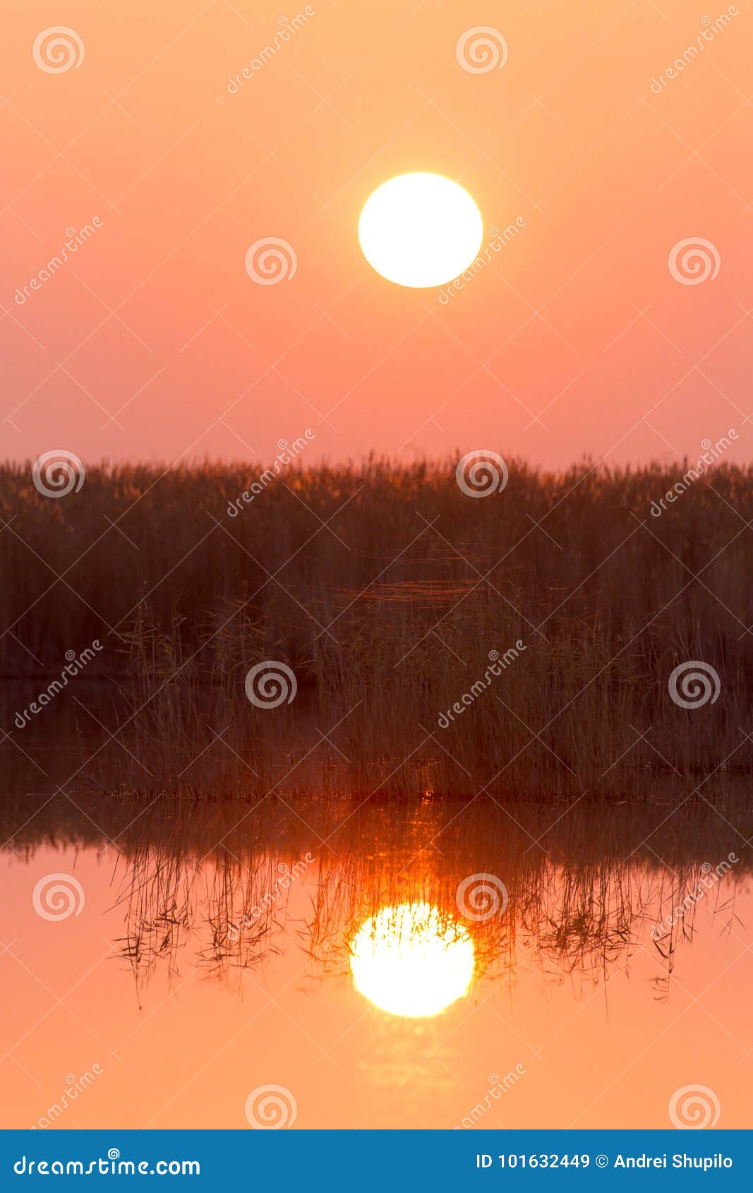 Beautiful Sunrise on the Lake Stock Image - Image of beauty, night ...