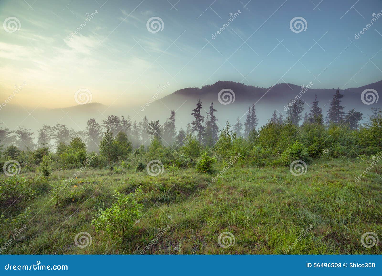 Beautiful Sunrise with the Morning Mist Stock Photo - Image of land ...