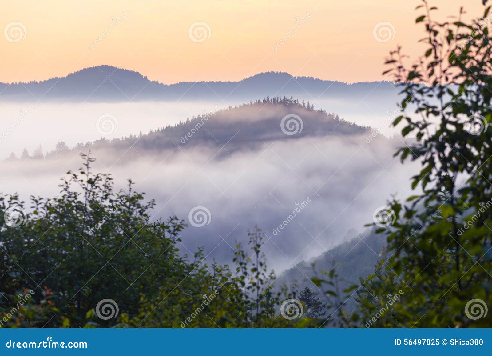 Beautiful Sunrise with the Morning Mist Stock Image - Image of rural ...