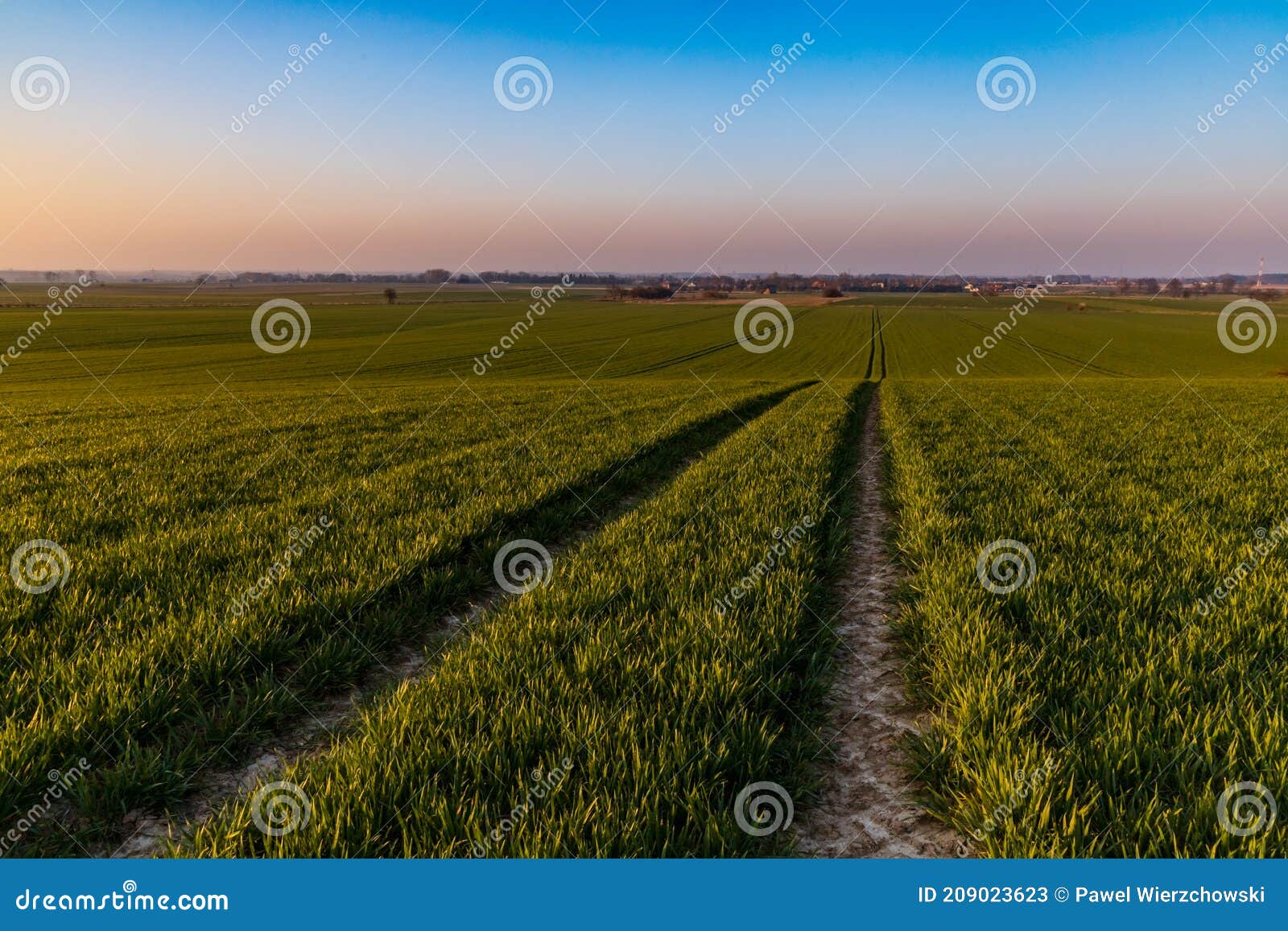 Beautiful Sunrise at Morning Over Huge Fields Stock Image - Image of ...