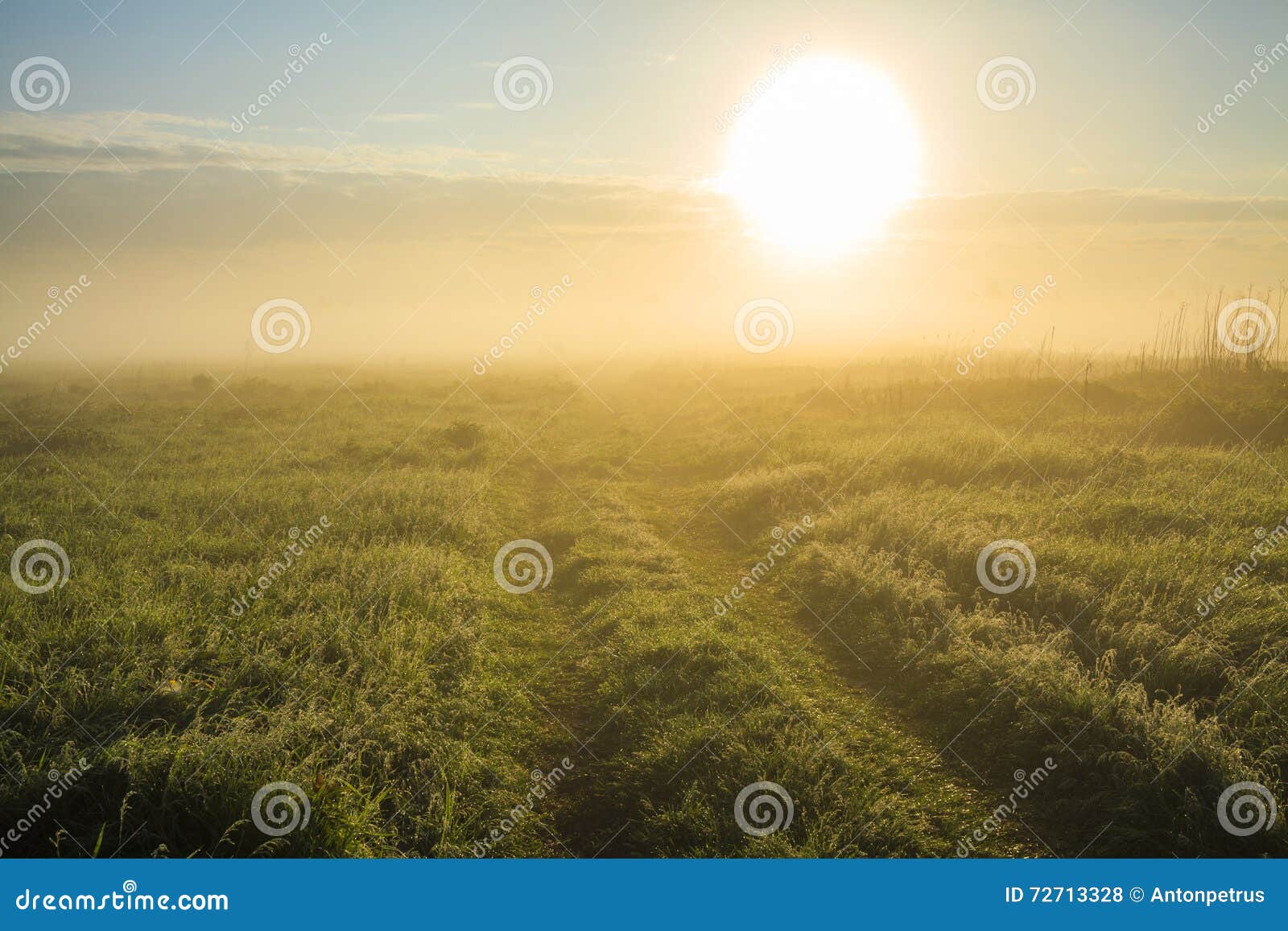 Beautiful Sunrise Over the Field. Stock Photo - Image of dawn, horizon ...