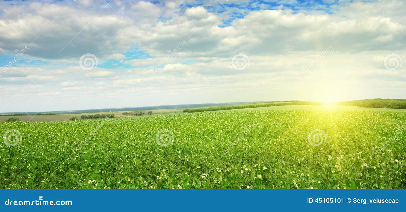 Beautiful sunrise stock image. Image of pasture, agriculture - 45105101