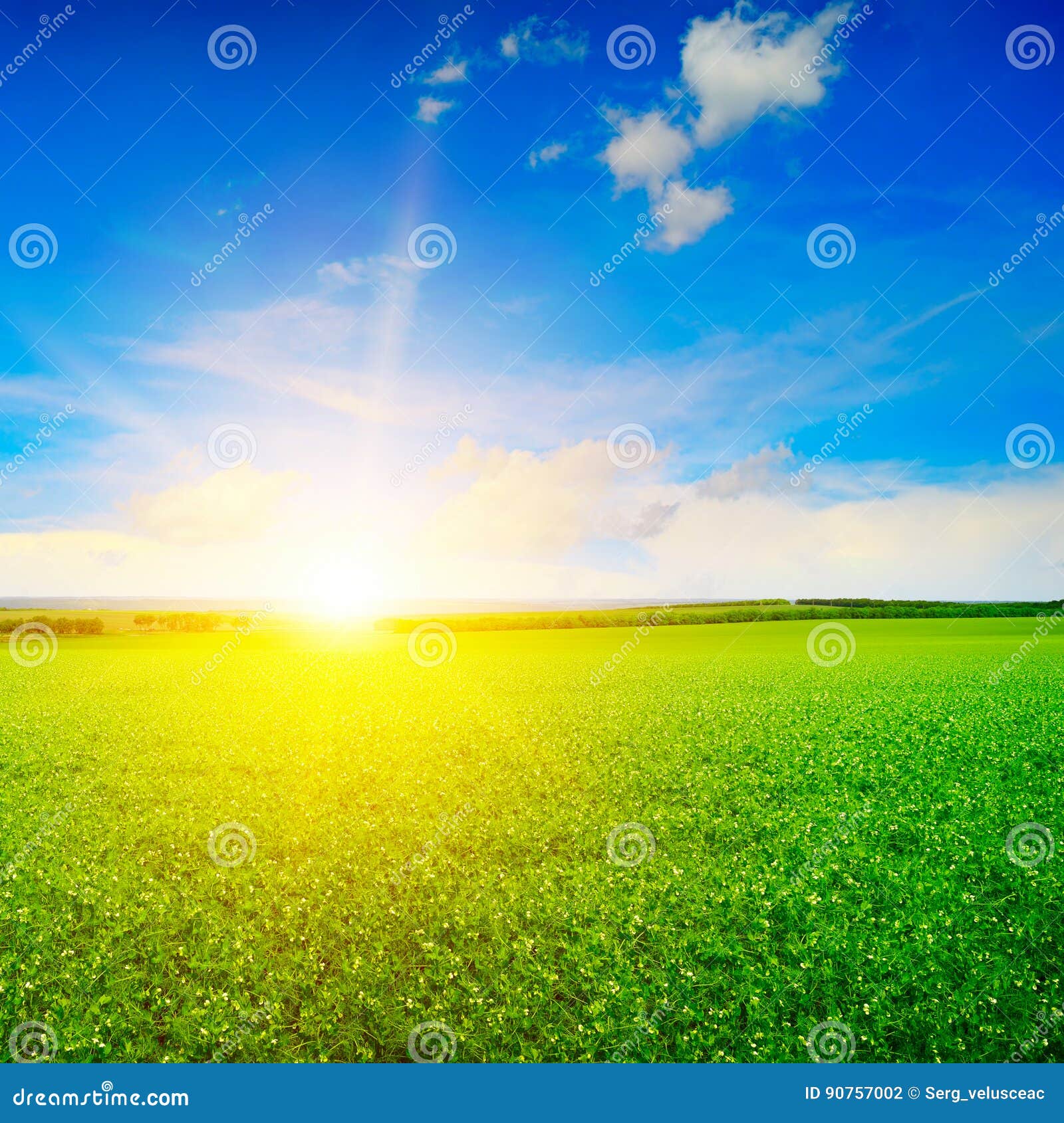 Beautiful Sunrise Over Field Stock Photo - Image of outdoor, beautiful ...