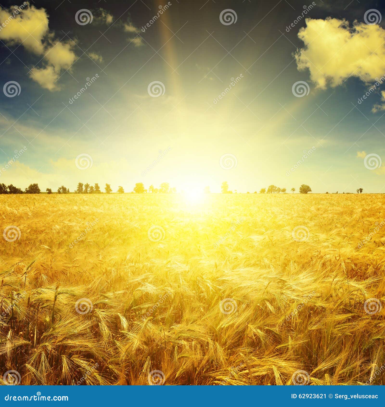 Beautiful Sunrise Over a Field Stock Image - Image of evening ...