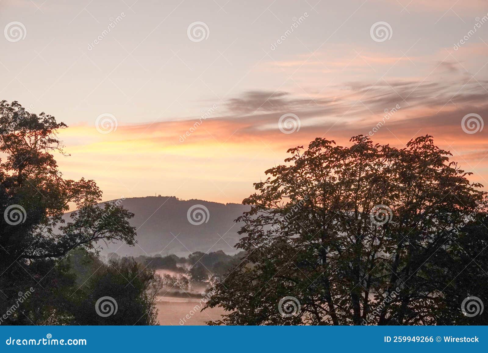 Beautiful Sunrise Over the Trees. Stock Photo - Image of nature, beauty ...