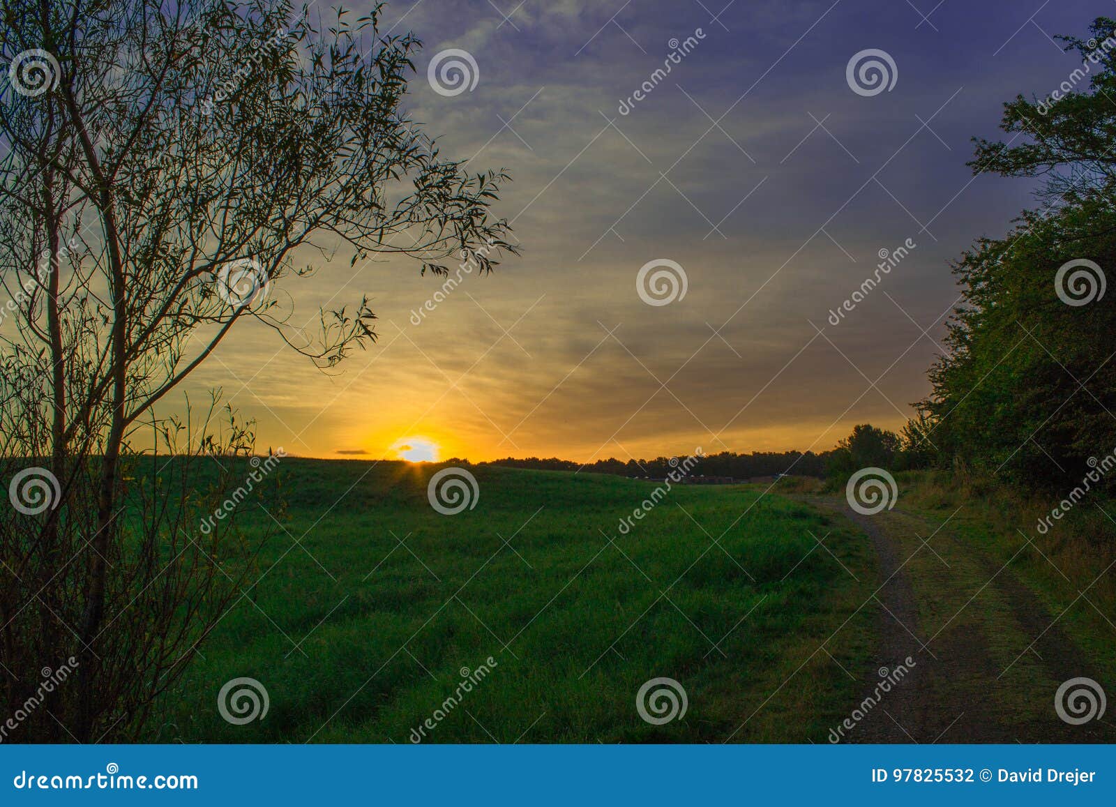 Beautiful Sunrise with a Tree and a Dirt Road Stock Photo - Image of ...