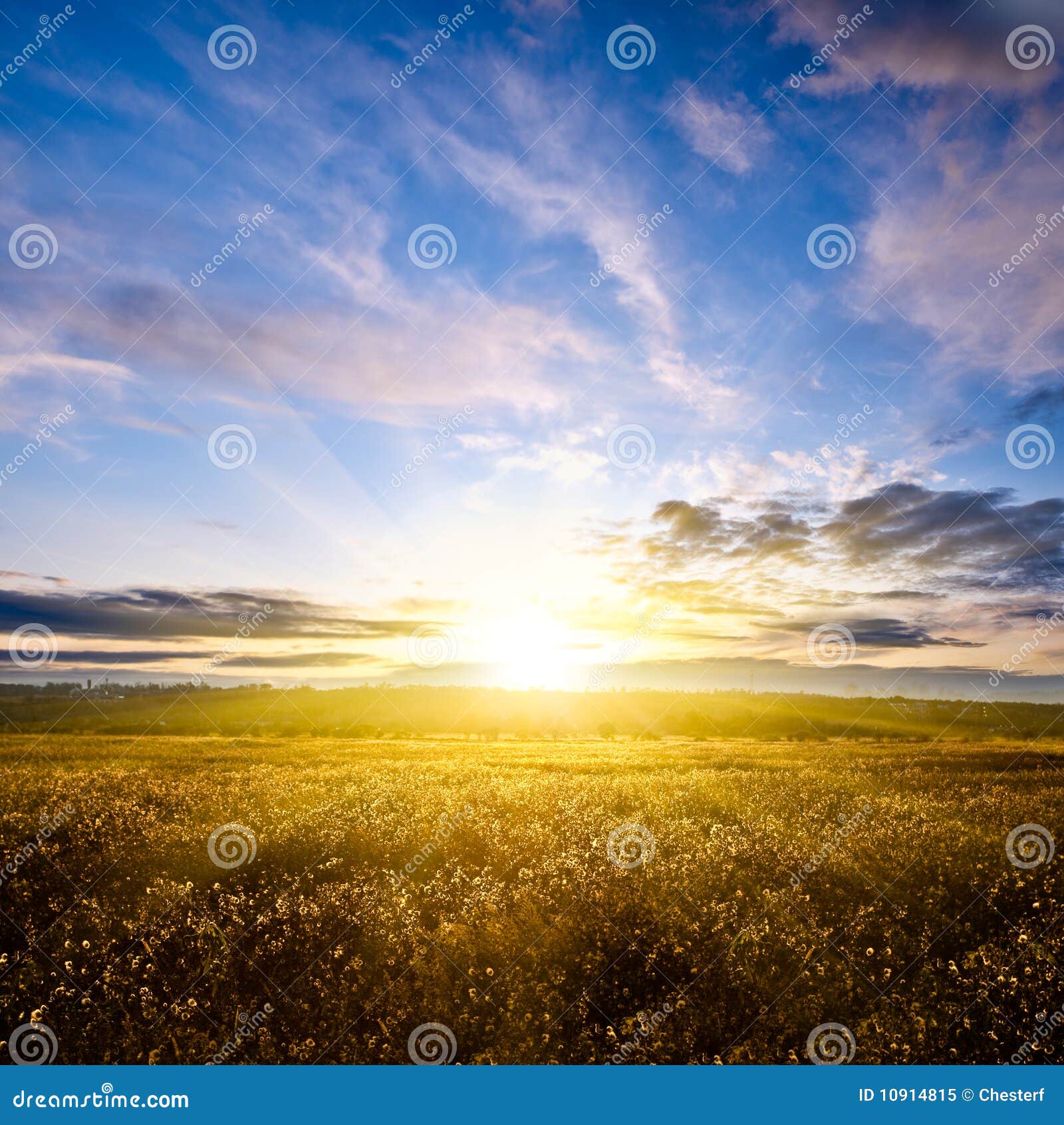 Beautiful Sunset Above Autumn Field Stock Image - Image of gray, fresh ...