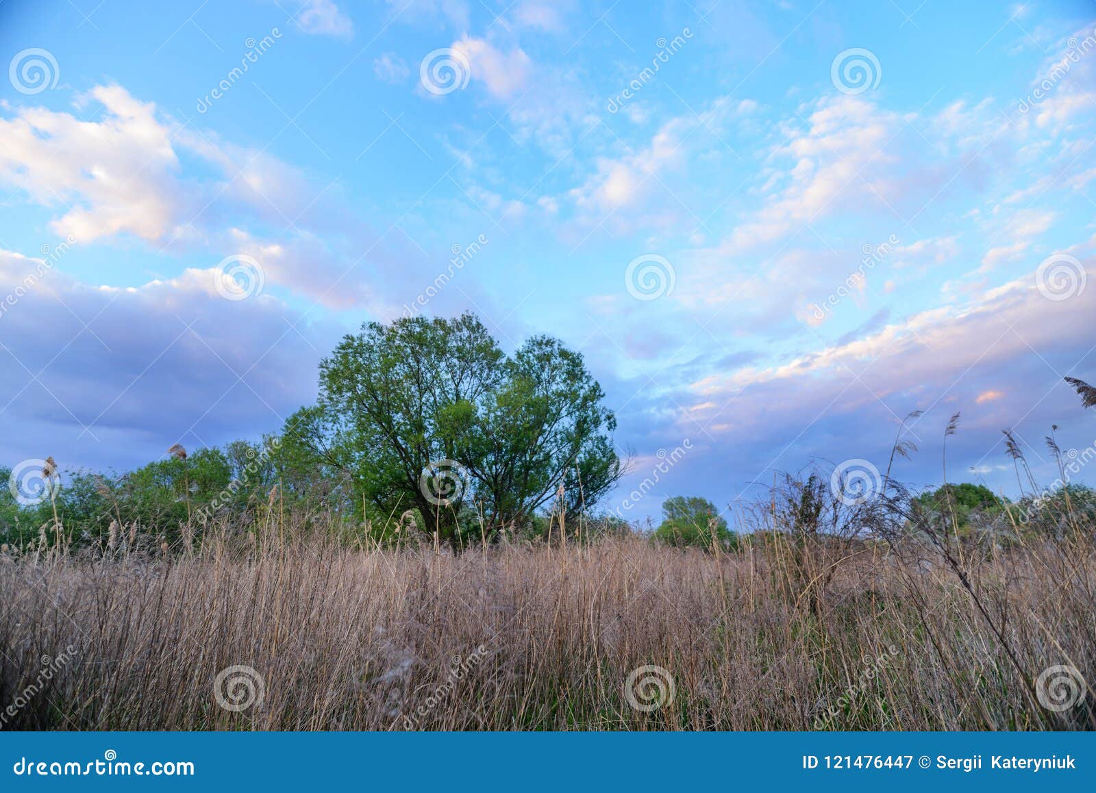 Beautiful Sunset Above Rural Lane. Square Composition Stock Image ...