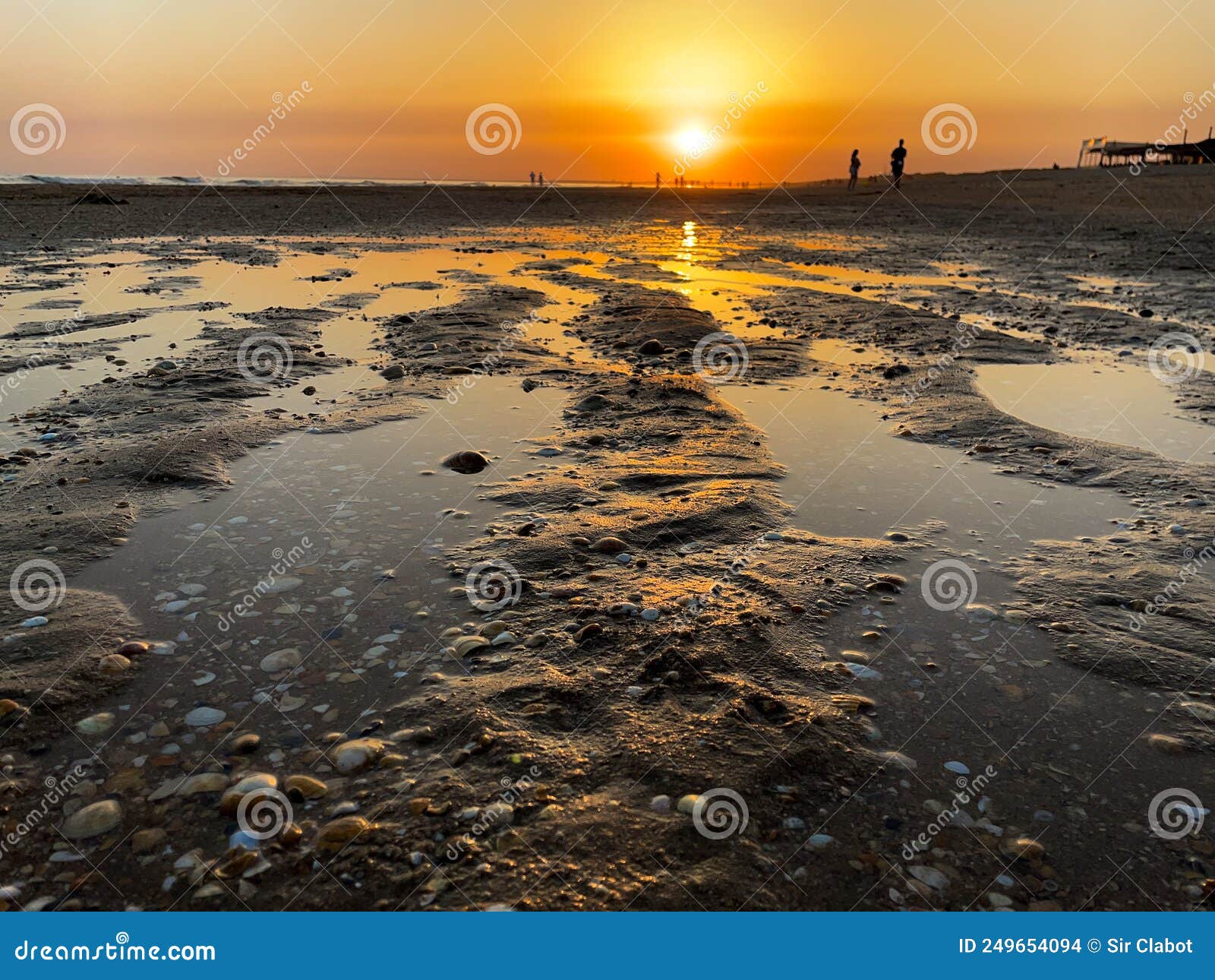 Beautiful Sunset on the Beach, with the Beach Full of Shells, Punta ...
