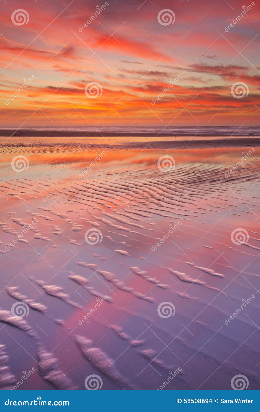 Beautiful Sunset on the Beach at Low Tide Stock Photo - Image of ...