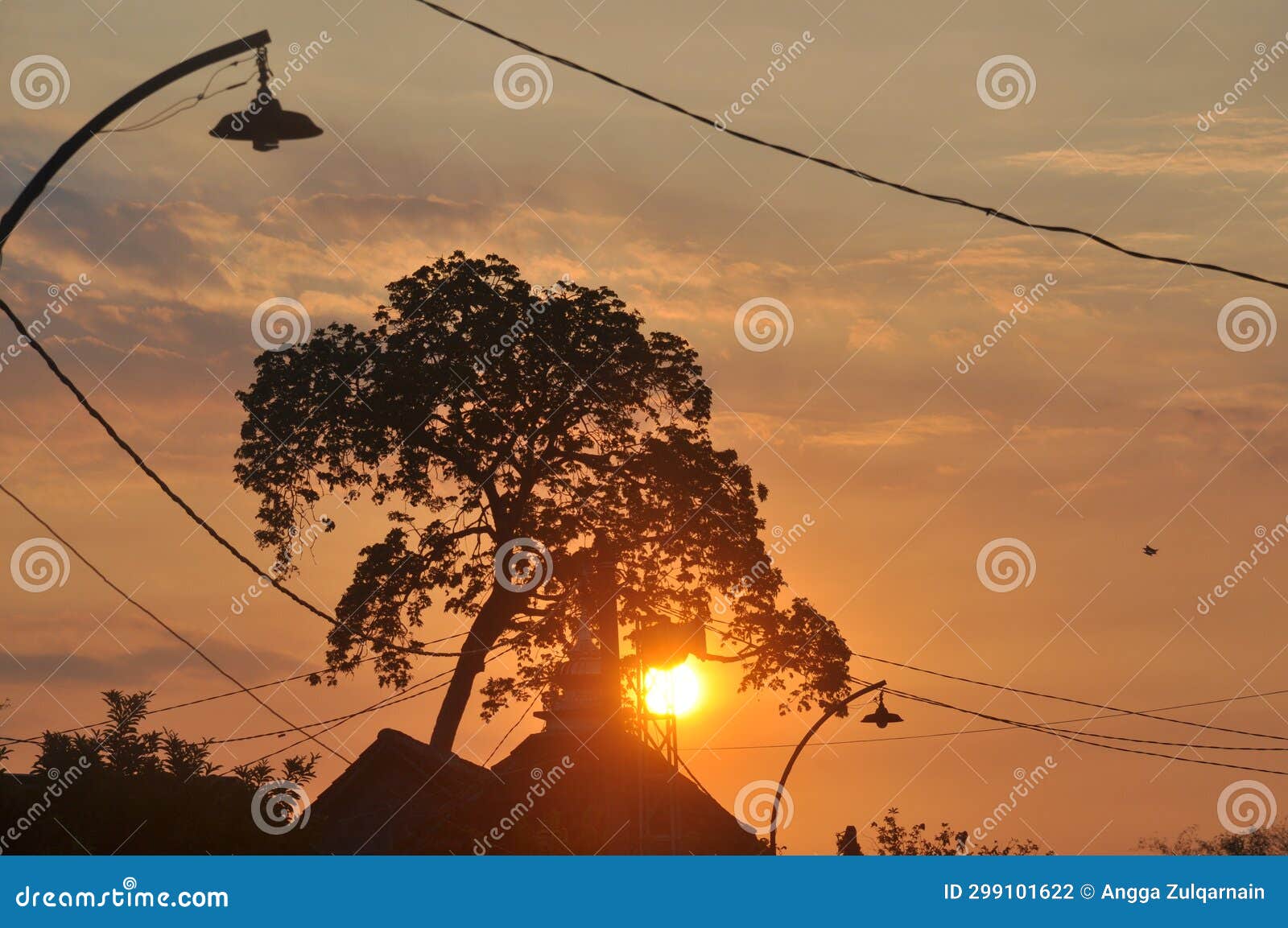 Beautiful Sunset Behind Bayan Tree Stock Photo - Image of sunrise, java ...