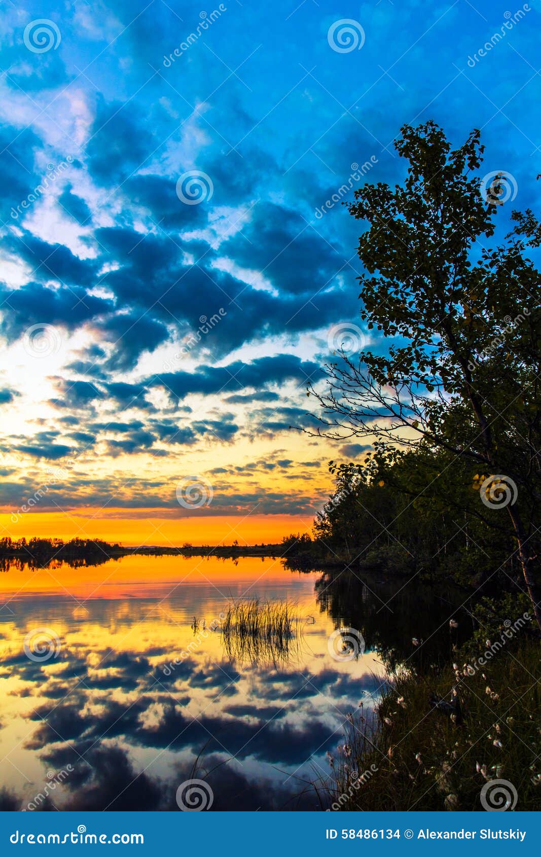 Beautiful sunset stock photo. Image of outdoor, forest - 58486134