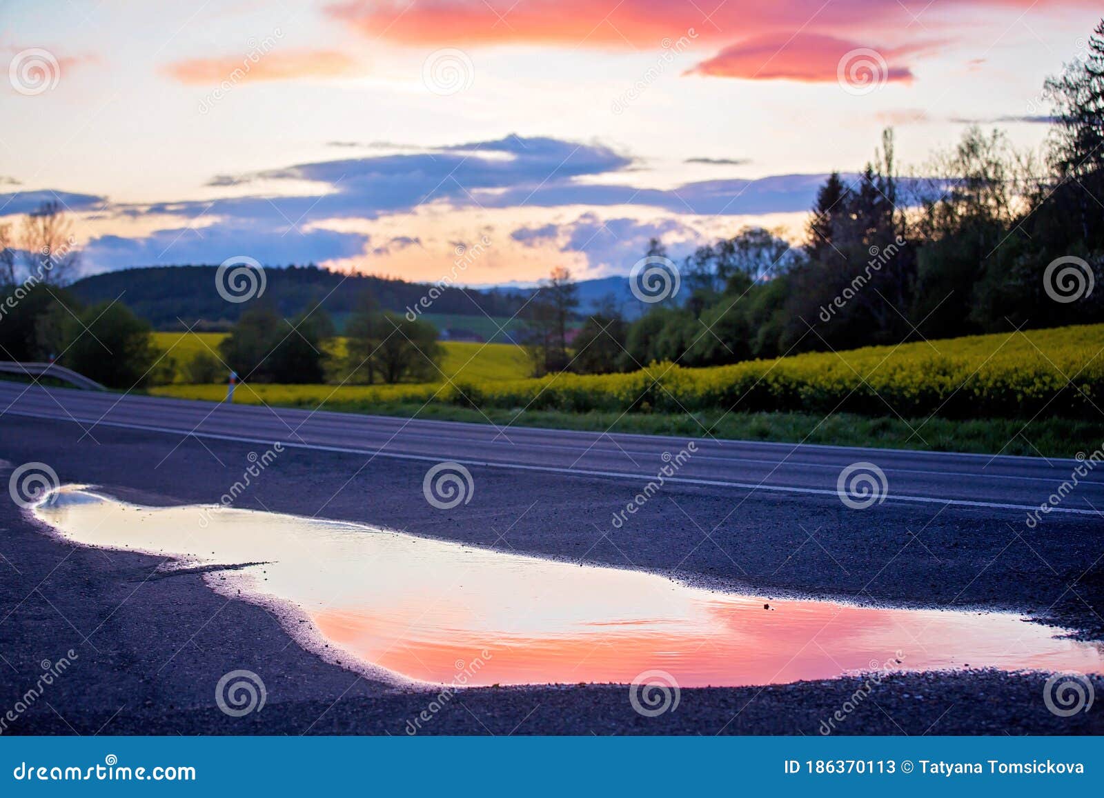 Beautiful Sunset Clouds and Tree, Reflecting in Water Puddle Stock ...
