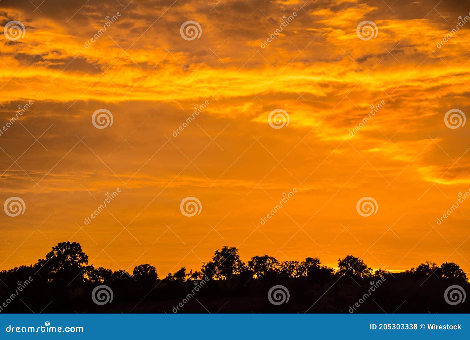 Beautiful Sunset in the Cloudy Red Sky Stock Photo - Image of selective ...