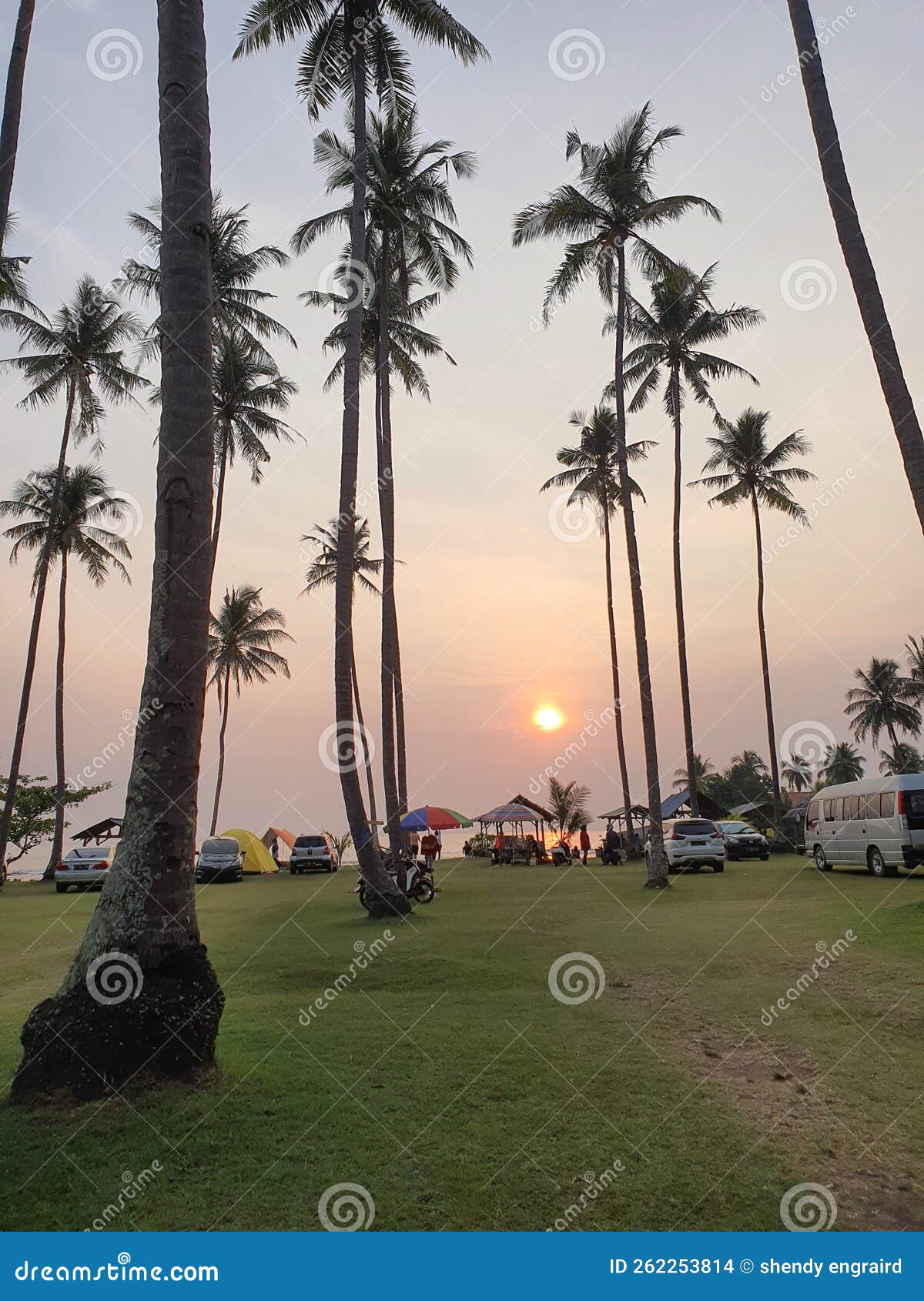 Beautiful Sunset in between Coconut Tree Stock Photo - Image of sunset ...