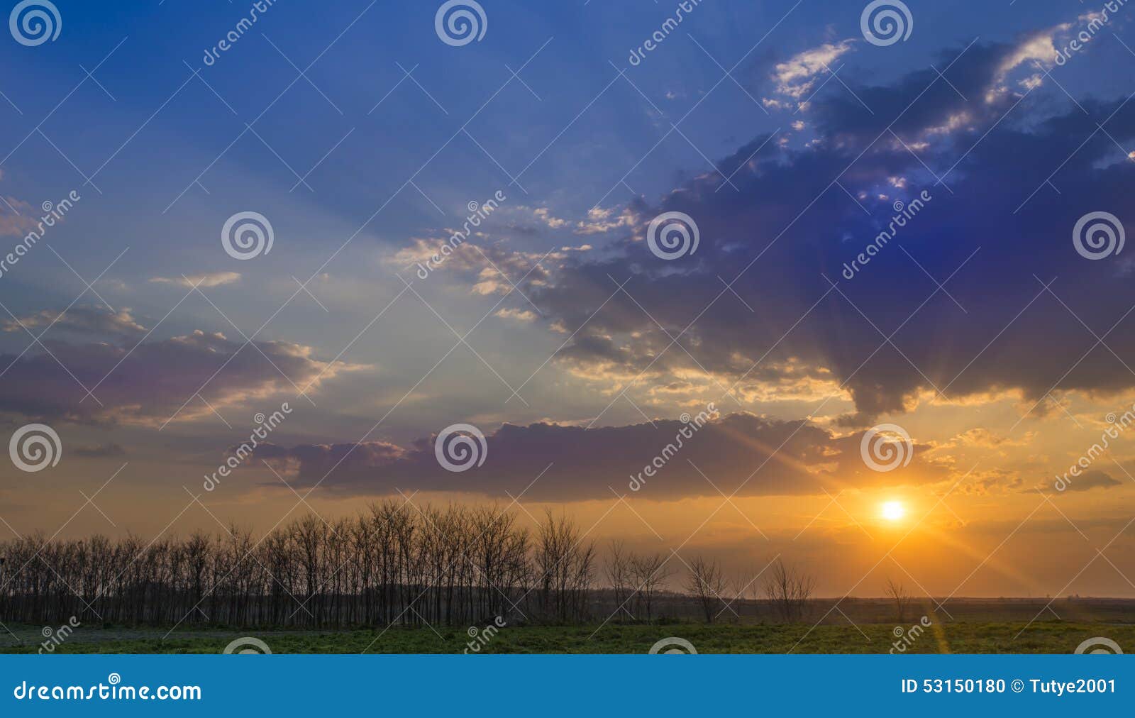 Beautiful Sunset at Countryside and Trees Stock Photo - Image of dark ...