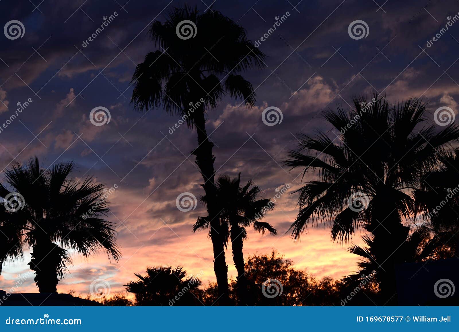 Beautiful Sunset with Dark Clouds Behind the Silhouette of Palm Trees ...