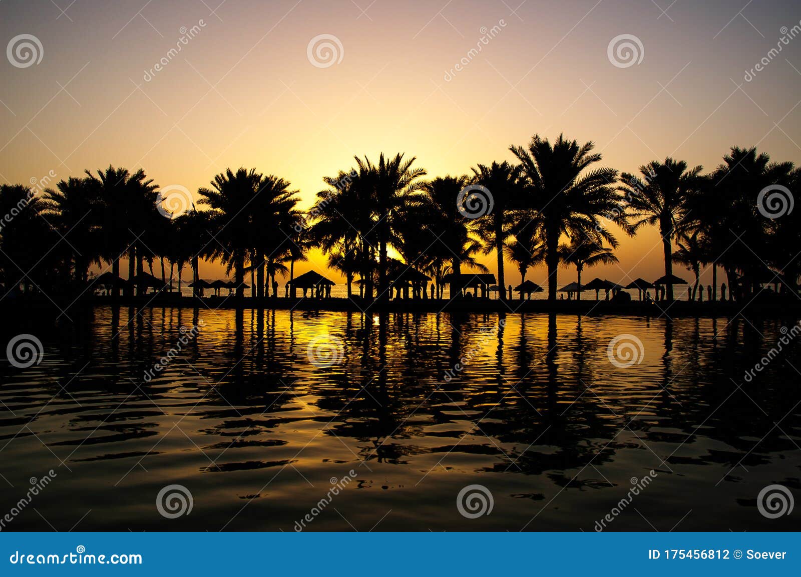 Beautiful Sunset with Dark Silhouettes of Palm Trees Stock Photo ...