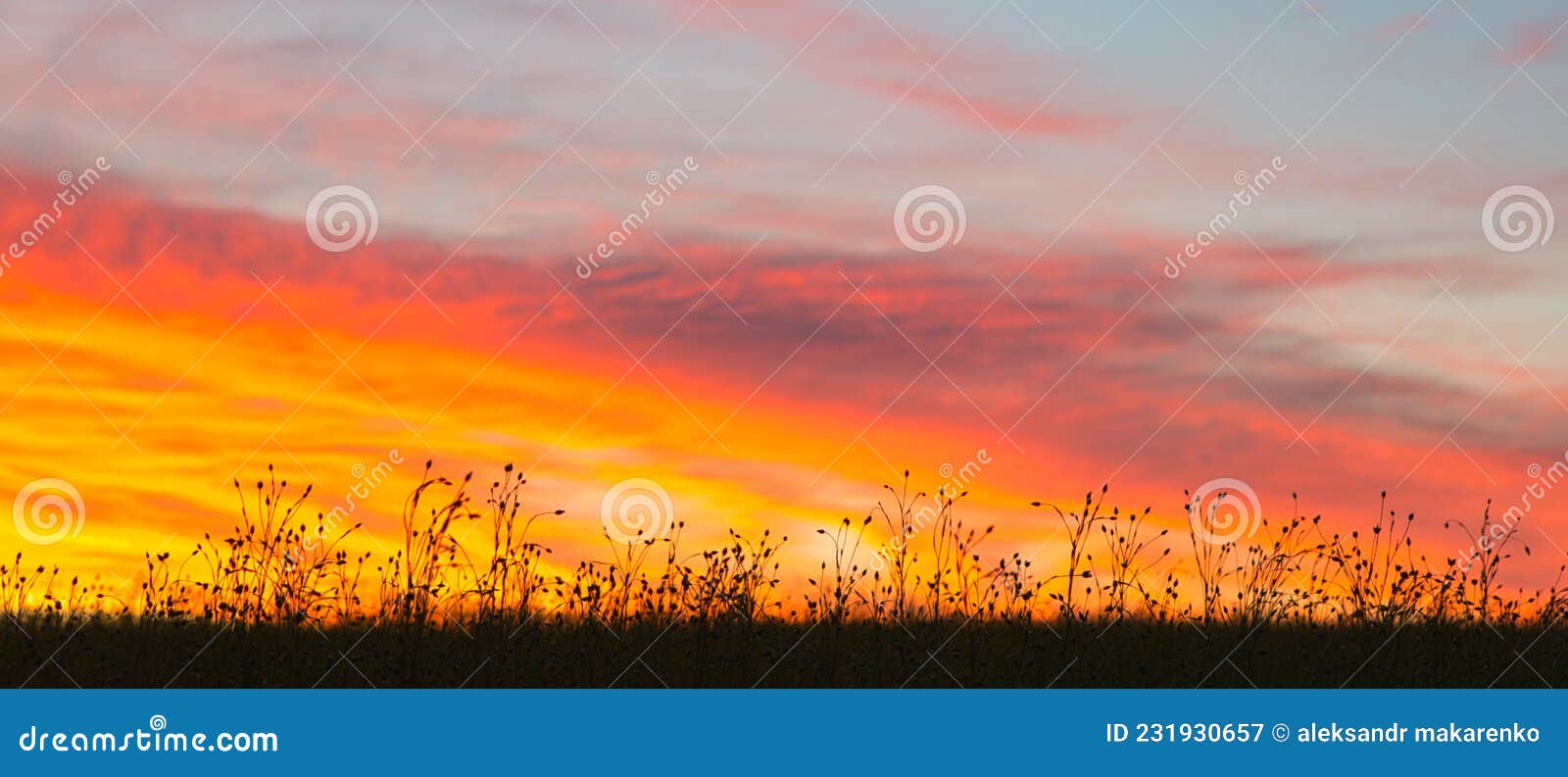 Beautiful Sunset on Dramatic Stormy Red Sky Stock Image - Image of ...