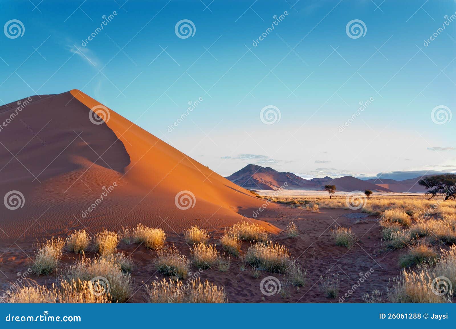 Namib Desert Royalty-Free Stock Photography | CartoonDealer.com #39582773