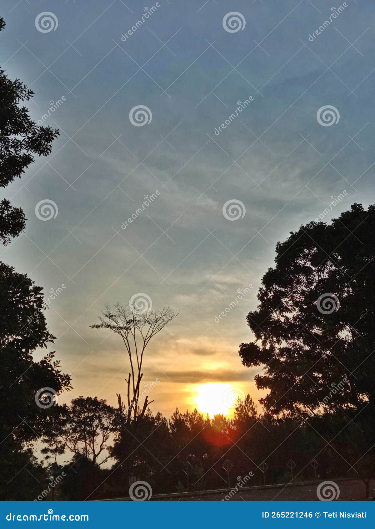 Beautiful Sunset in the End of Year Stock Photo - Image of savanna ...
