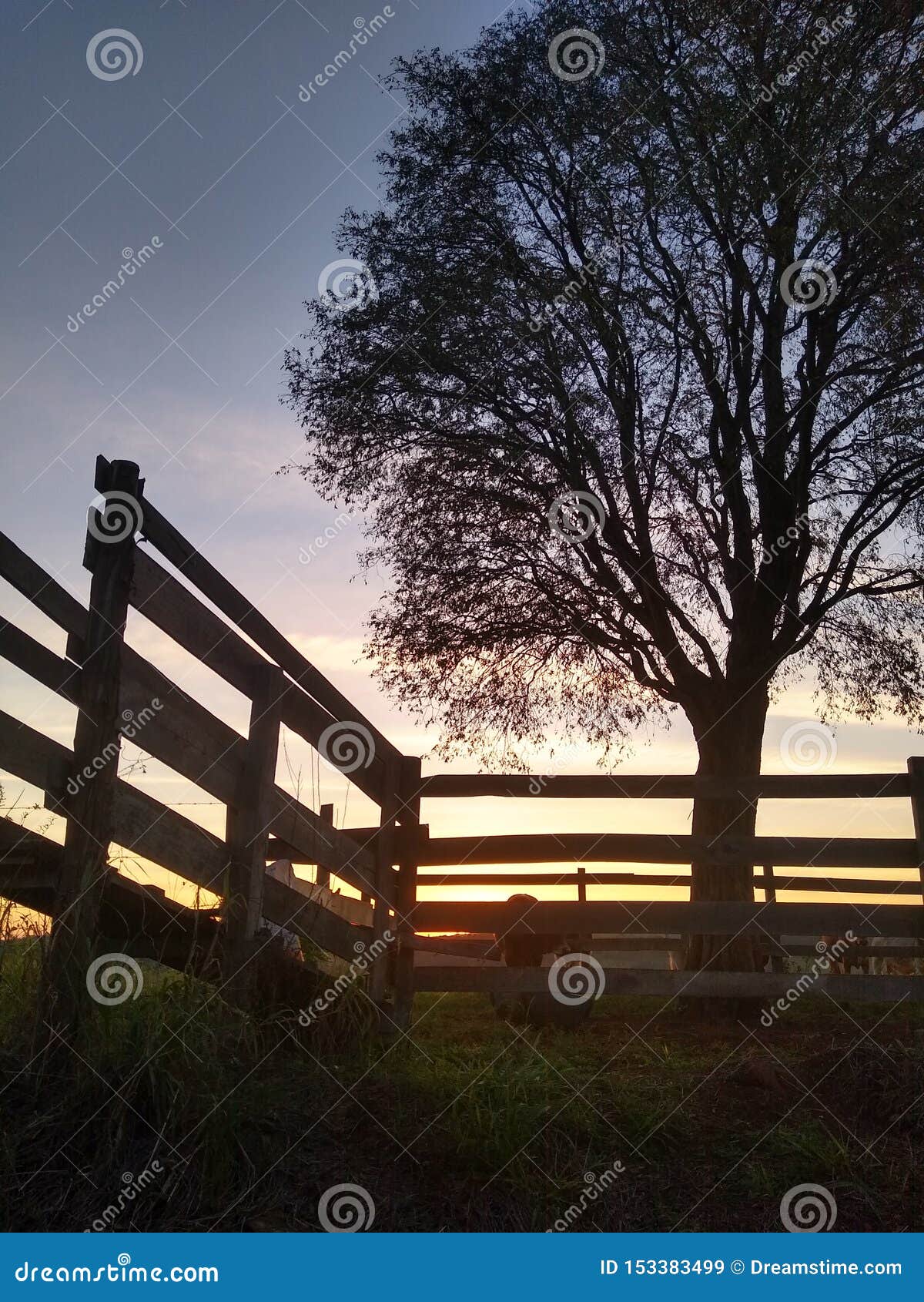 Farm stock image. Image of shadows, farm, trees, sunset - 153383499