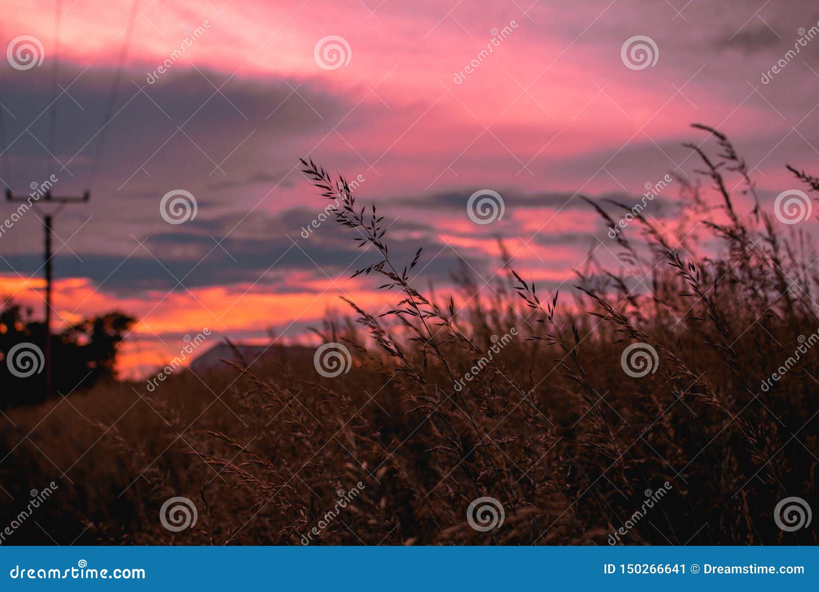 Beautiful Sunset with a Field in a Front Stock Image - Image of bright ...