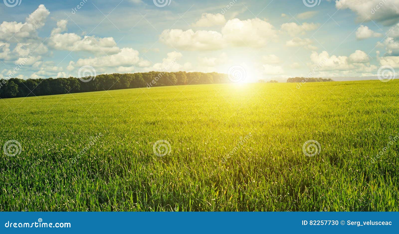 Beautiful sunset on field stock photo. Image of field - 82257730