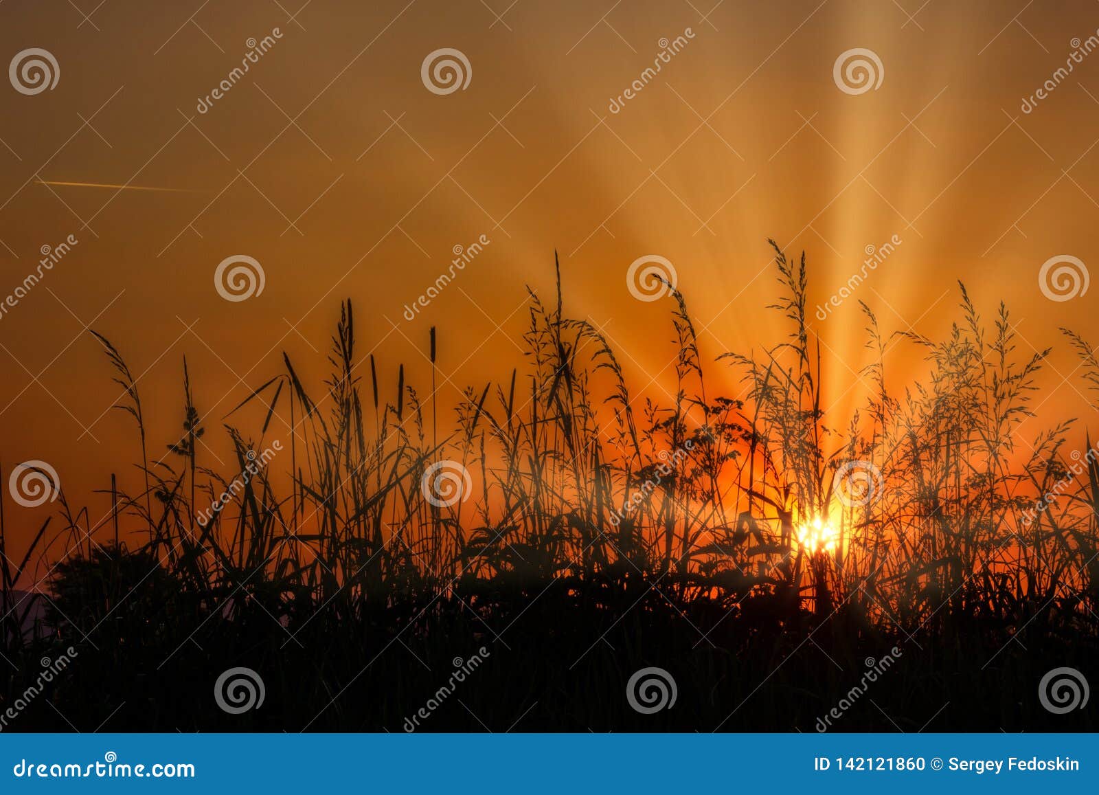 Beautiful Sunset on the Field. Stock Photo - Image of reflection, grass ...