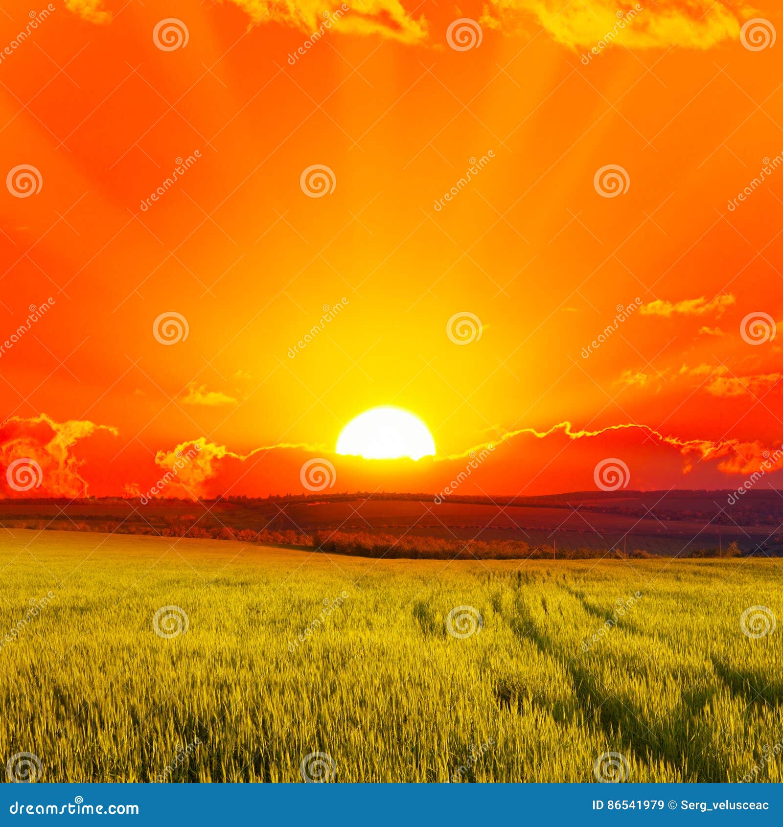 Beautiful sunset on field stock image. Image of field - 86541979