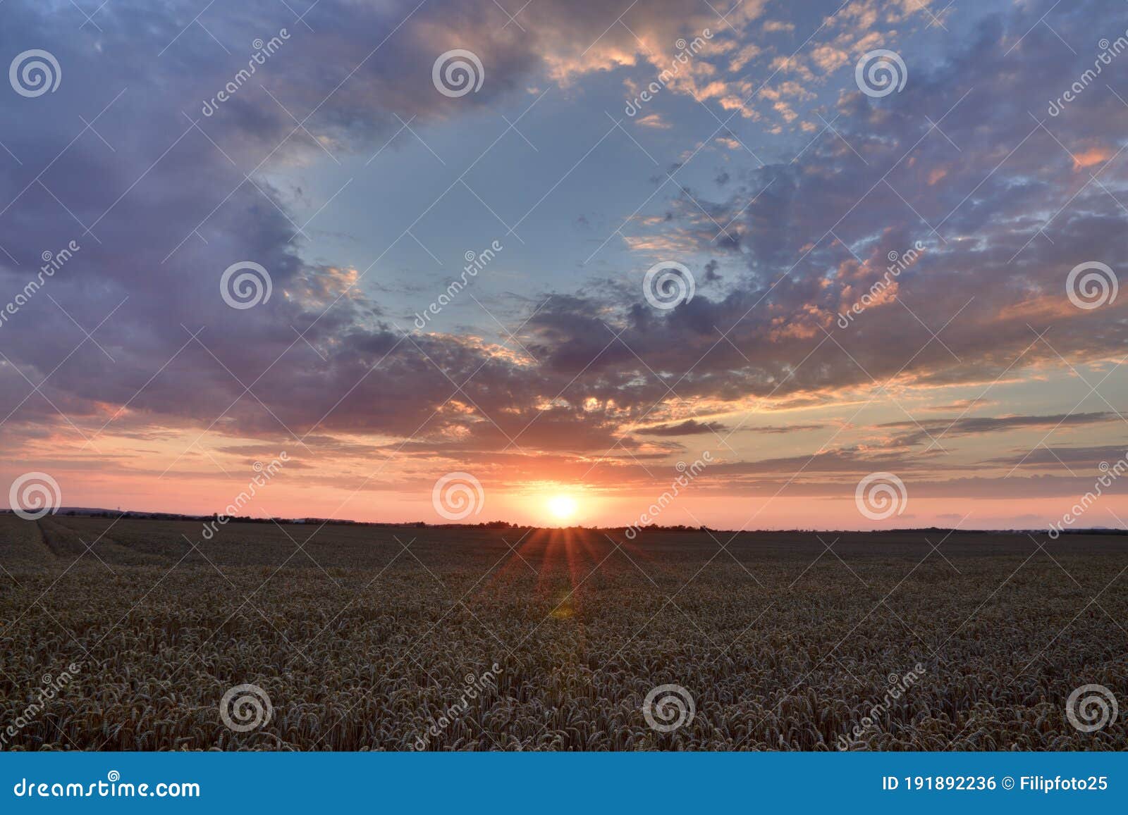 Beautiful Sunset and Fields Stock Photo - Image of nature, harvest ...