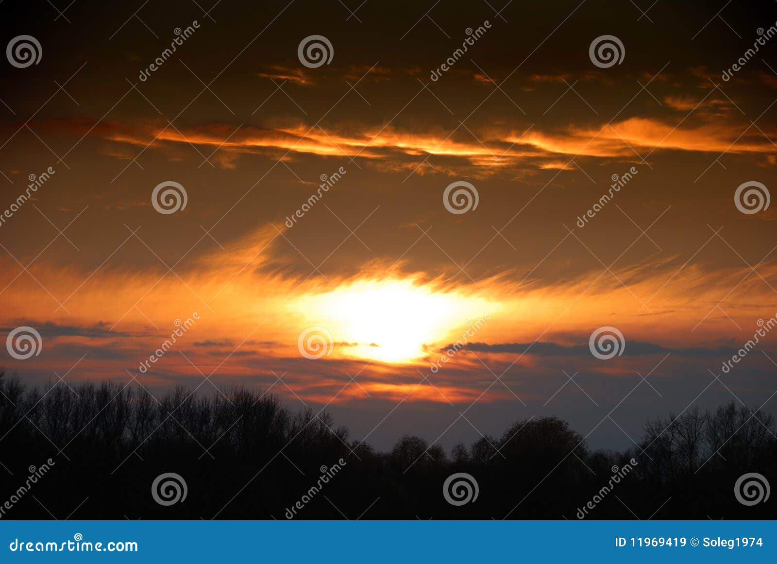 The Beautiful Sunset in Forest Stock Image - Image of scenic, dark ...