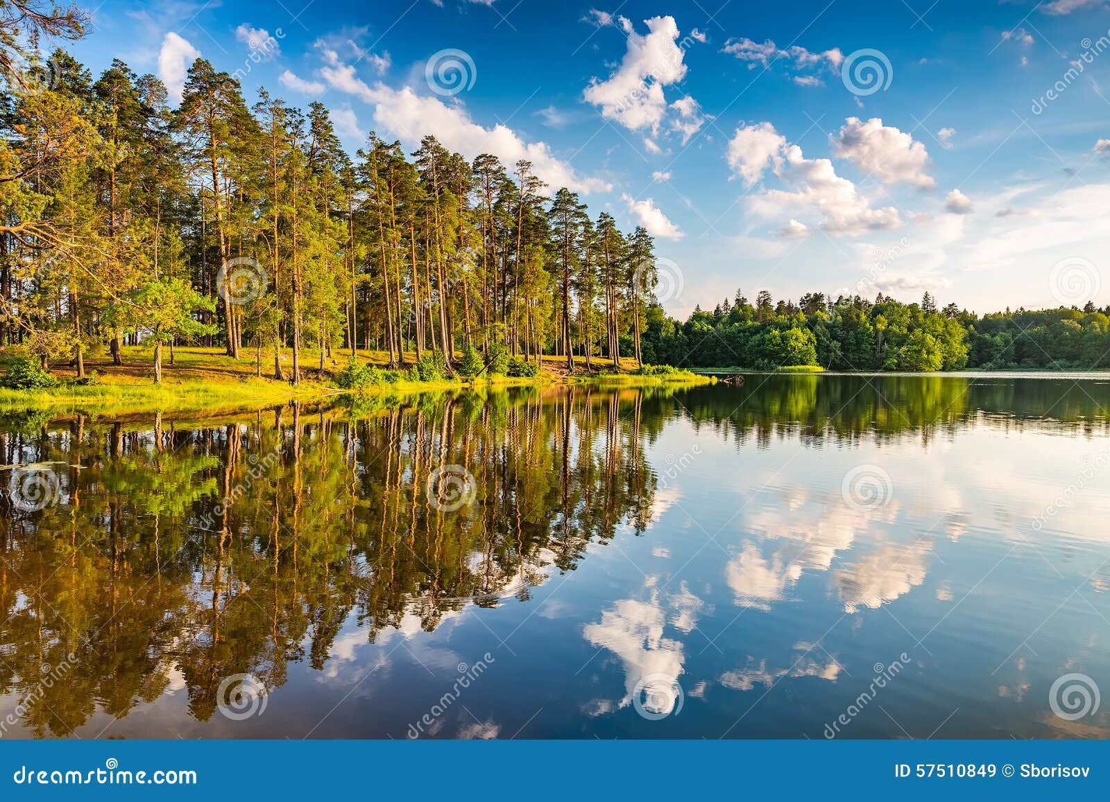 Beautiful Sunset on Forest Lake Stock Image - Image of bank, landscape ...