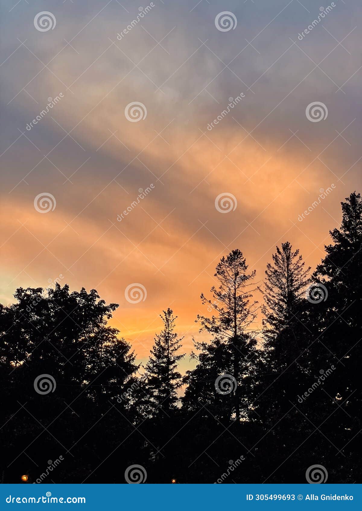 Beautiful Sunset in the Forest. Sky and Clouds. Stock Image - Image of ...