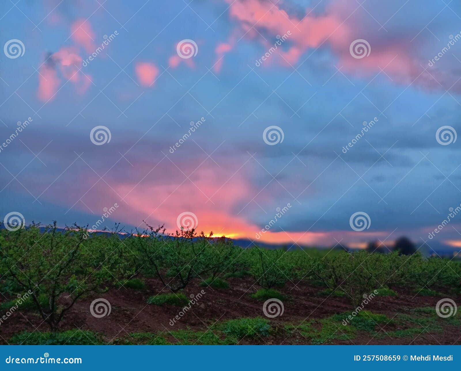 Neutral Sunset stock image. Image of dusk, bsunset, landscape - 257508659