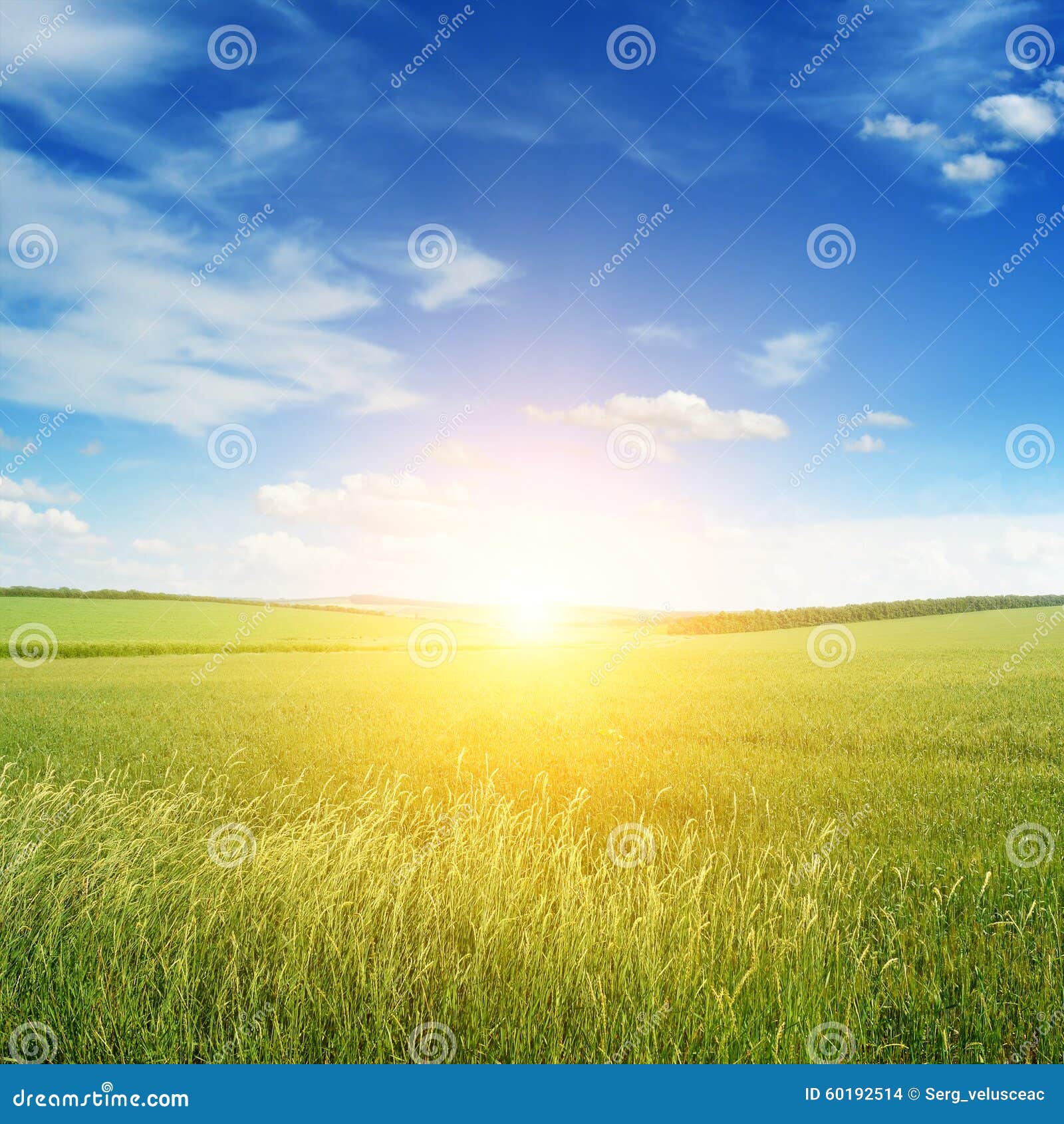 Beautiful sunset stock photo. Image of bright, nature - 60192514
