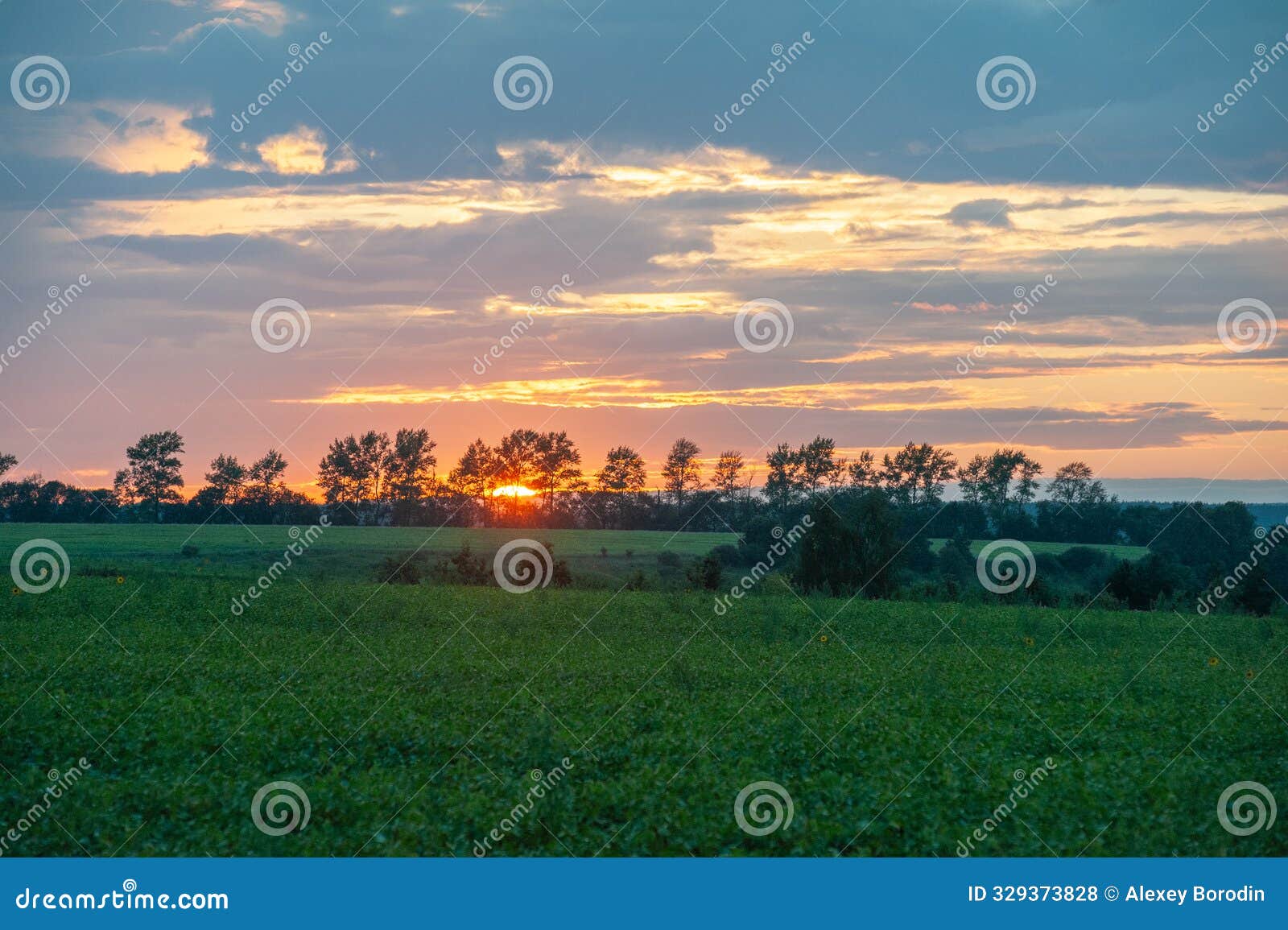 Beautiful Sunset in Green Fields Stock Photo - Image of clear, people ...