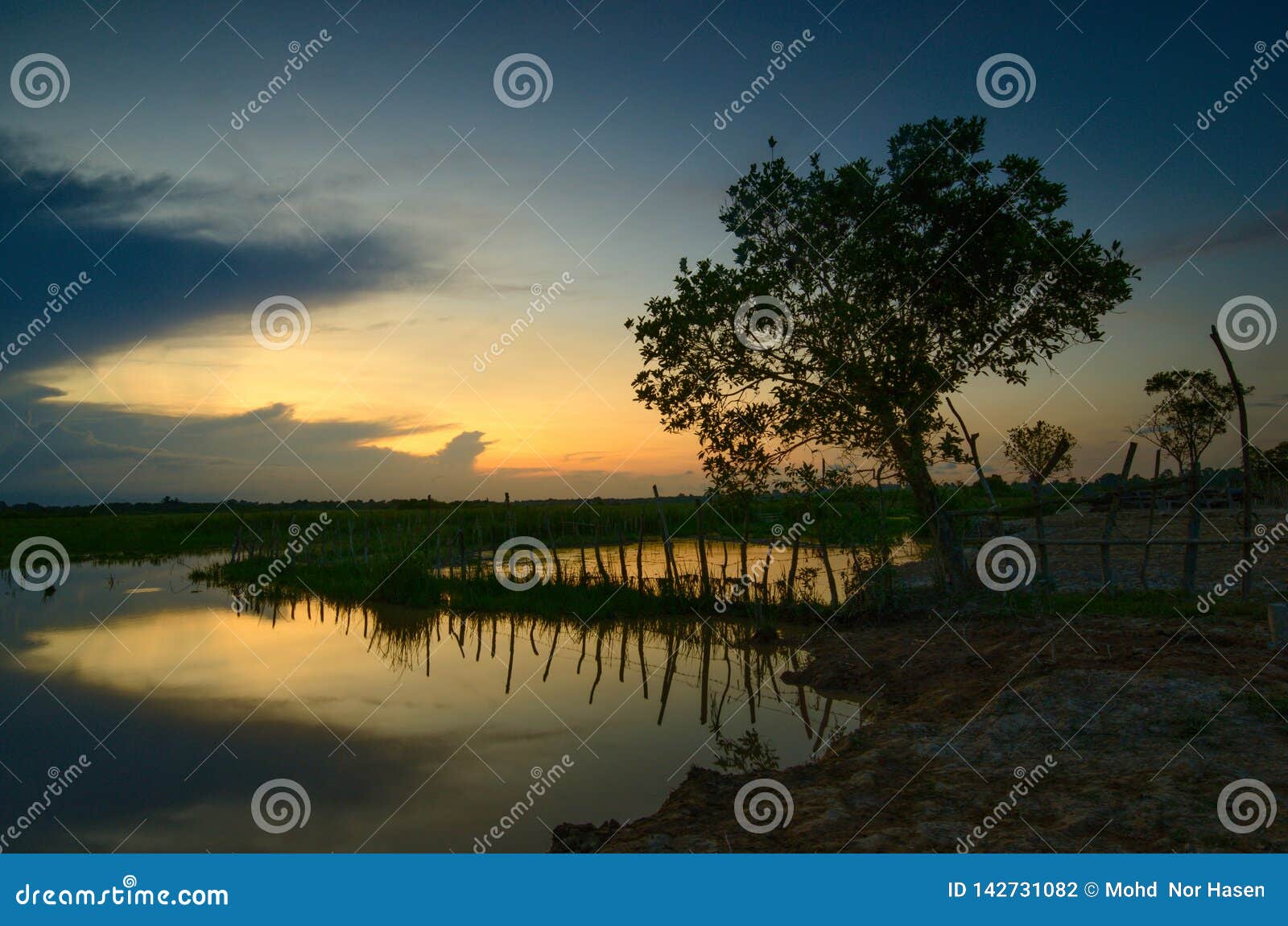 Beautiful sunset stock photo. Image of beautiful, reflection - 142731082