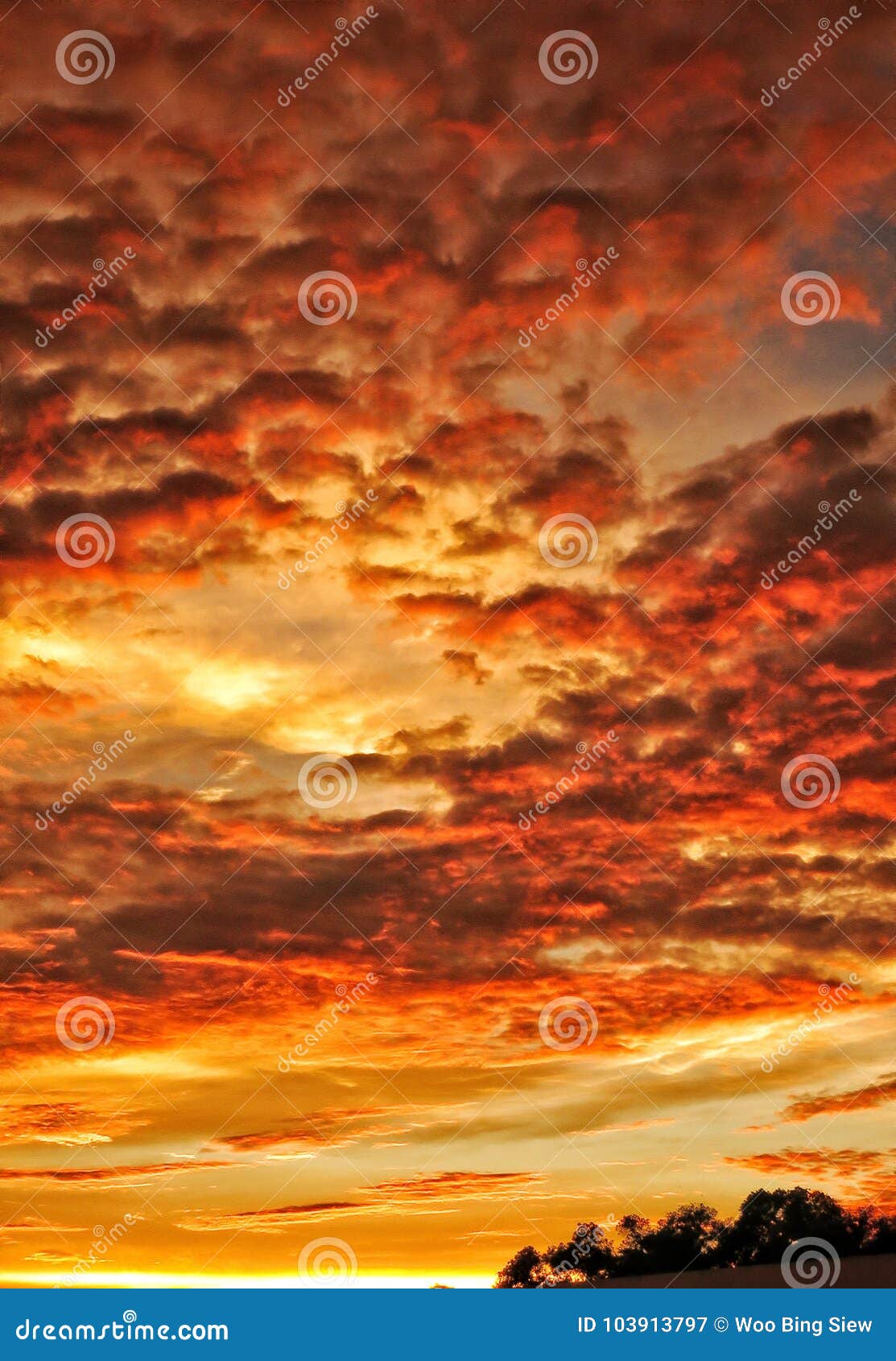 Sunset with Layers of Clouds Stock Image - Image of sunset, trees ...