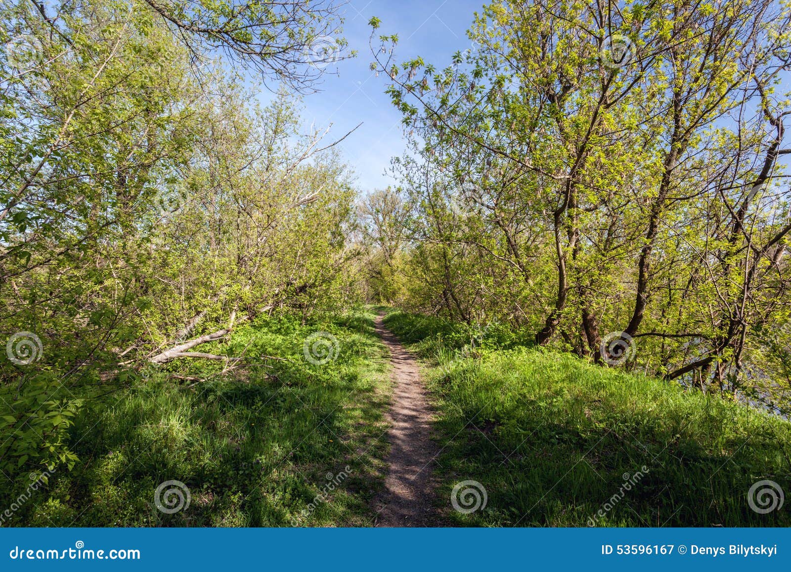 Beautiful Sunset in Magic Forest. Trail. Spring Landscape Stock Image ...