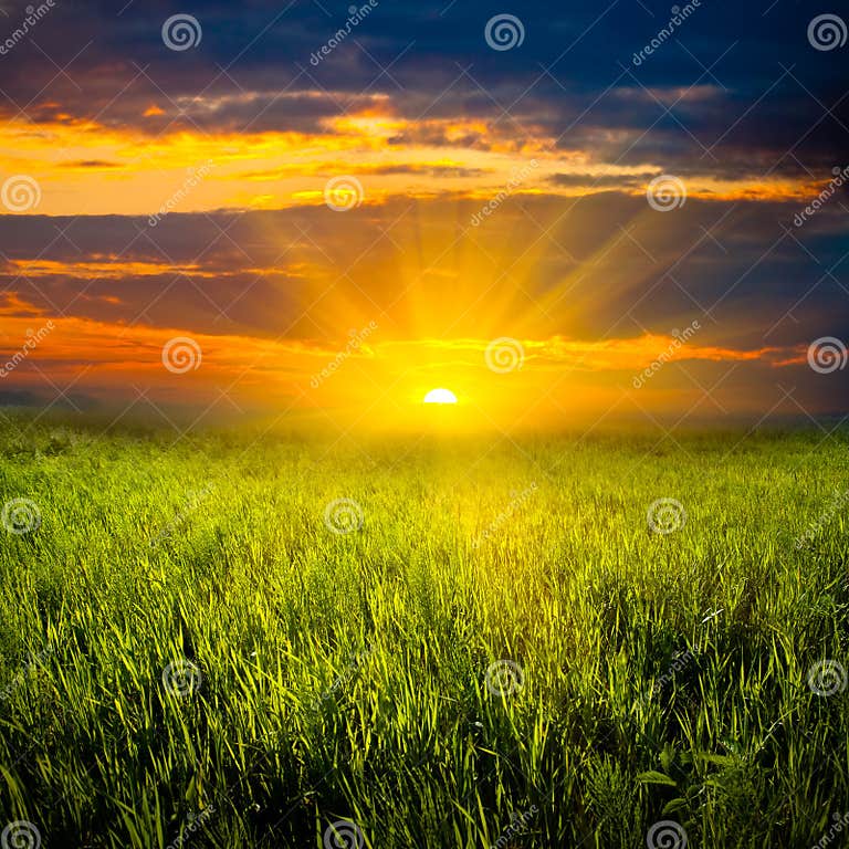 Beautiful sunset in meadow stock image. Image of color - 9915435