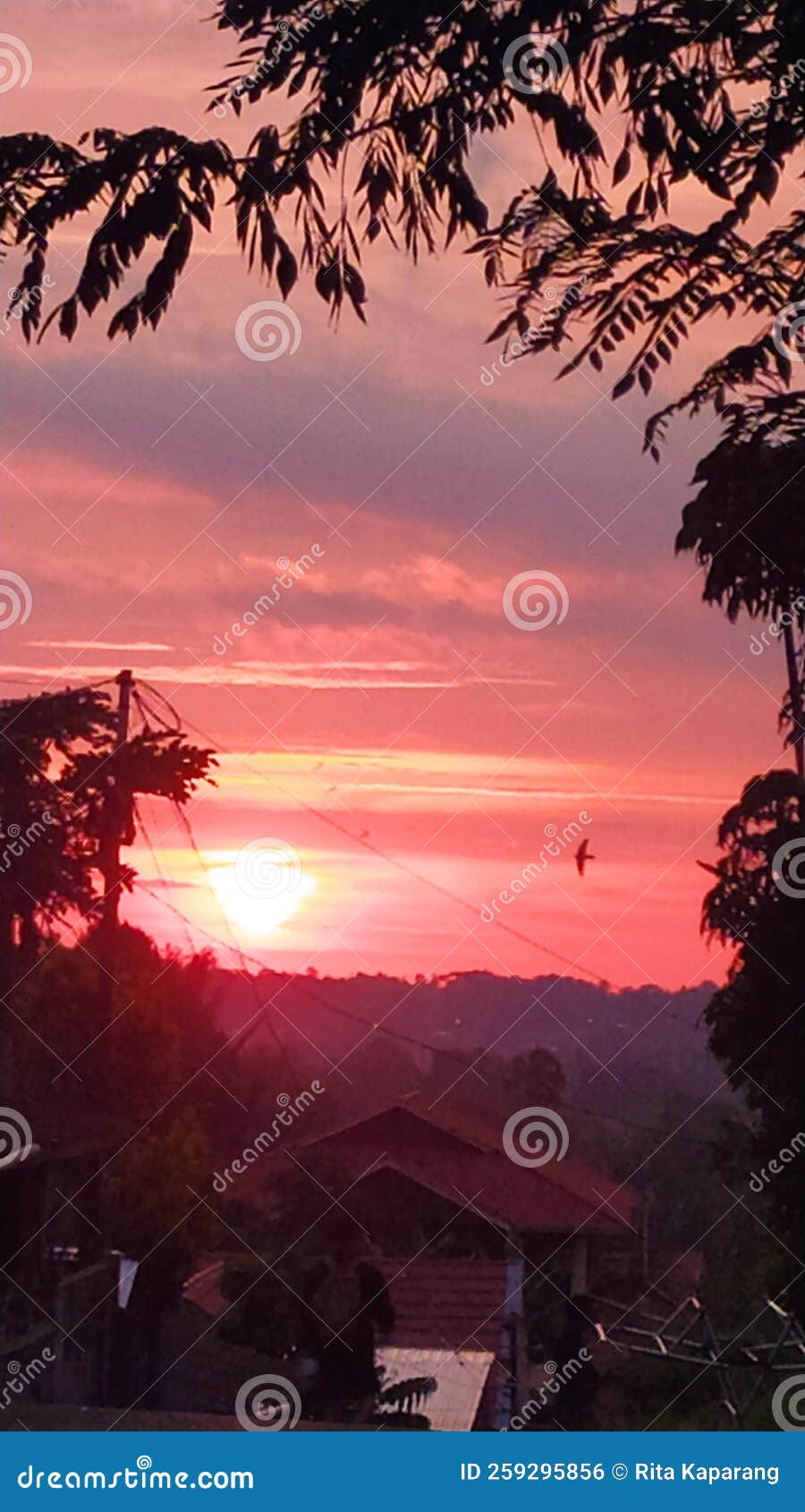 The Beautiful Sunset from My House Stock Photo - Image of tree, sunset ...