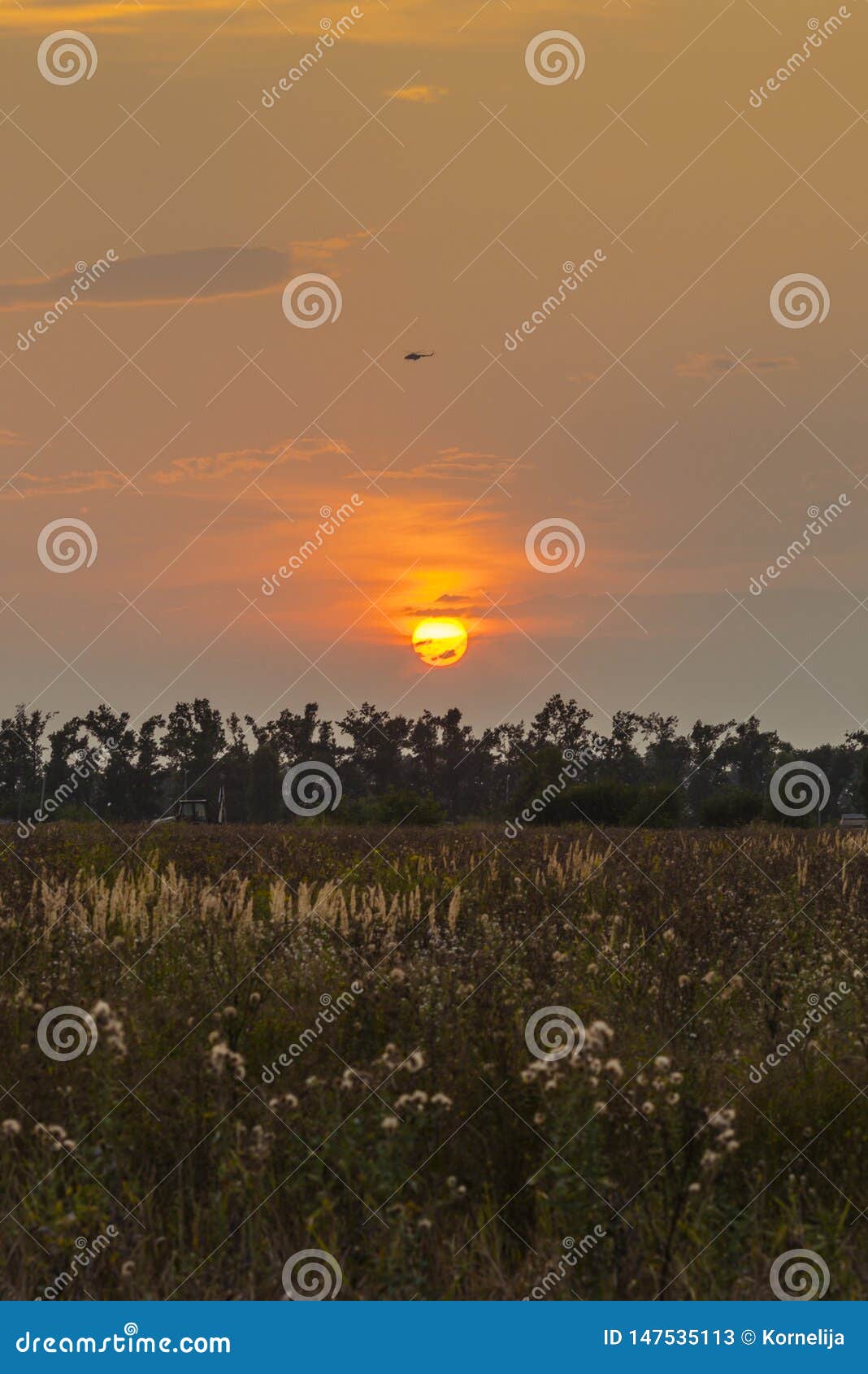 Beautiful Sunset Over the Field Stock Image - Image of field, yellow ...