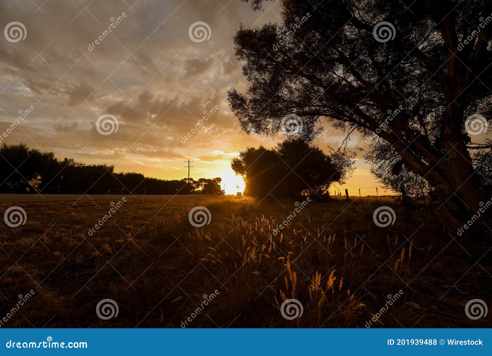 Beautiful Sunset Over a Field Stock Photo - Image of scenic, sunset ...