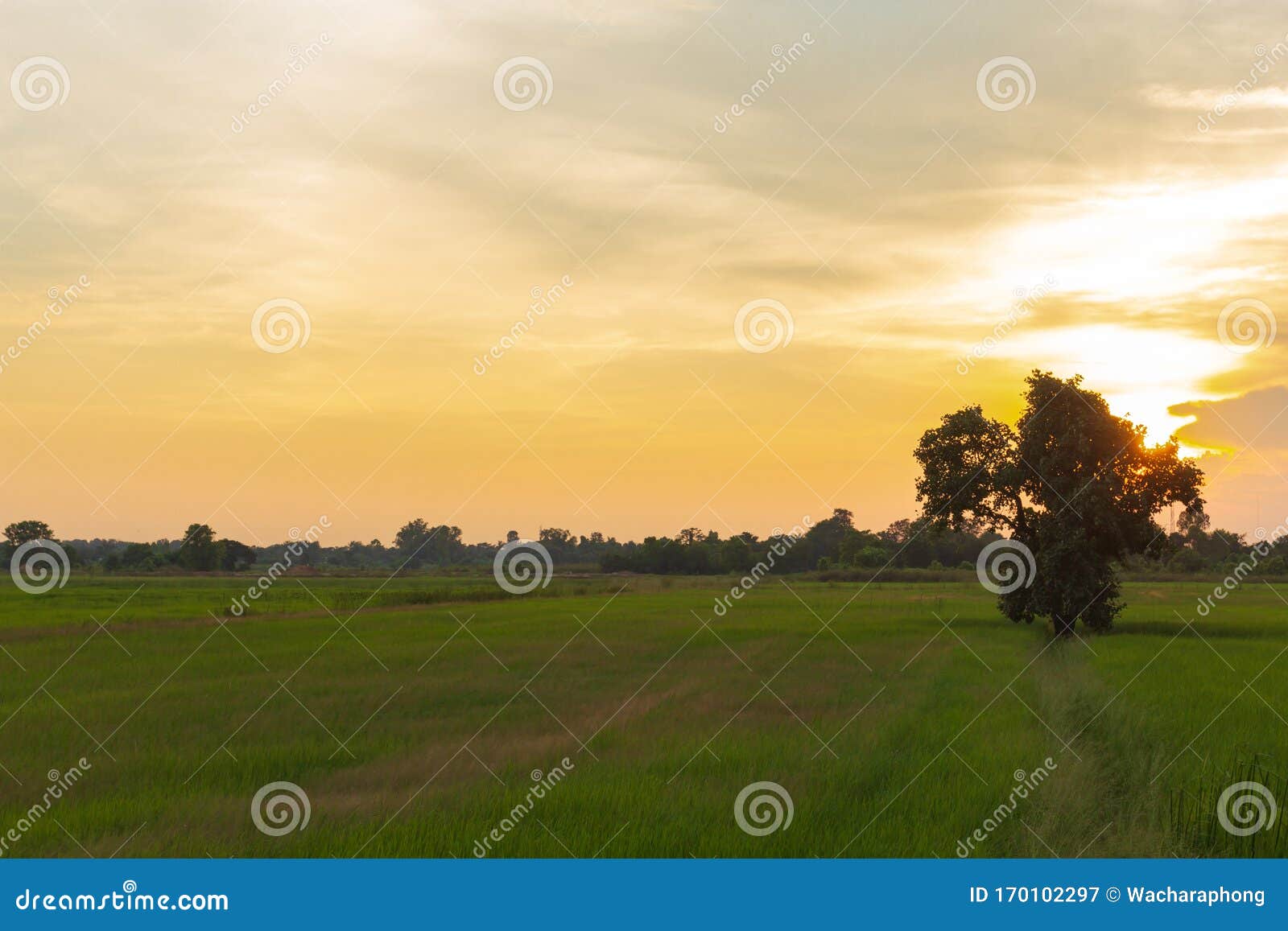 Beautiful Sunset Over Fields Stock Image - Image of light, field: 170102297