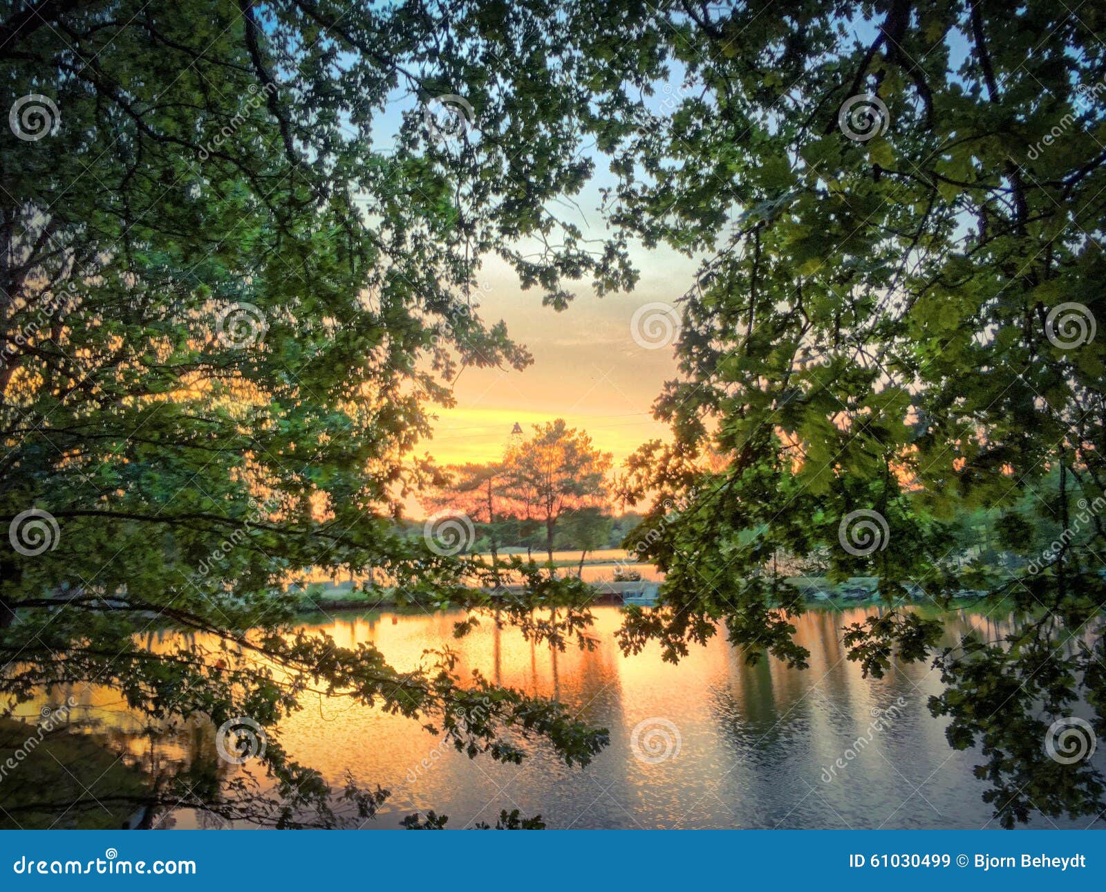 Beautiful Sunset Over a Forest Lake Stock Image - Image of grey, bridge ...