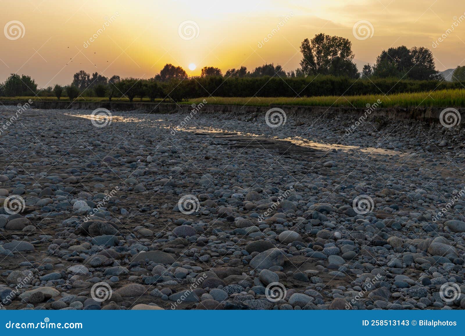 Beautiful Sunset Over Over Trees at River Bank Stock Image - Image of ...